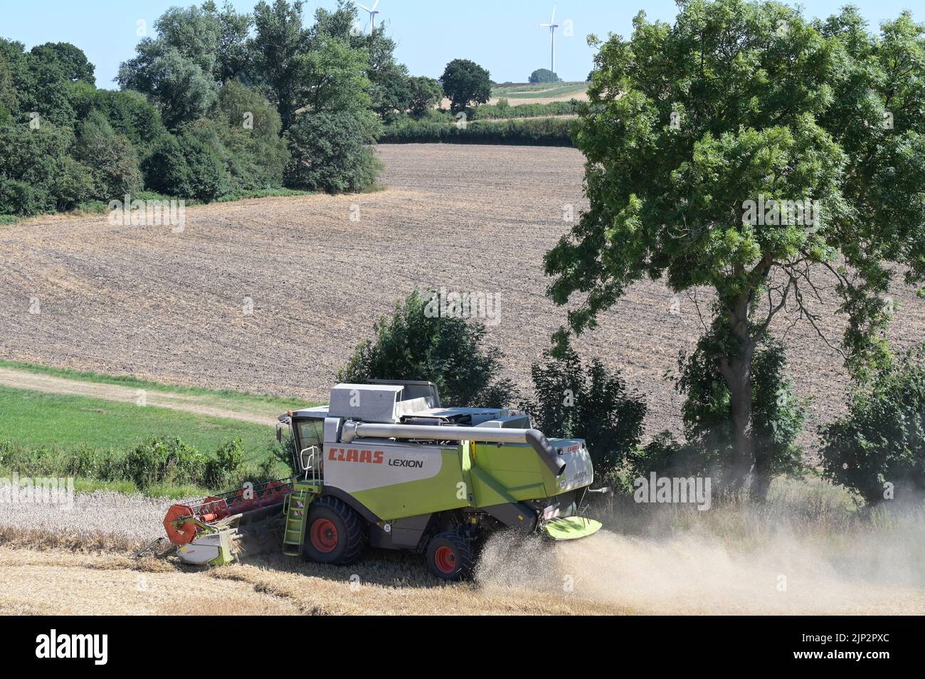 Germany, wheat harvest with Claas combine harvester / DEUTSCHLAND ...