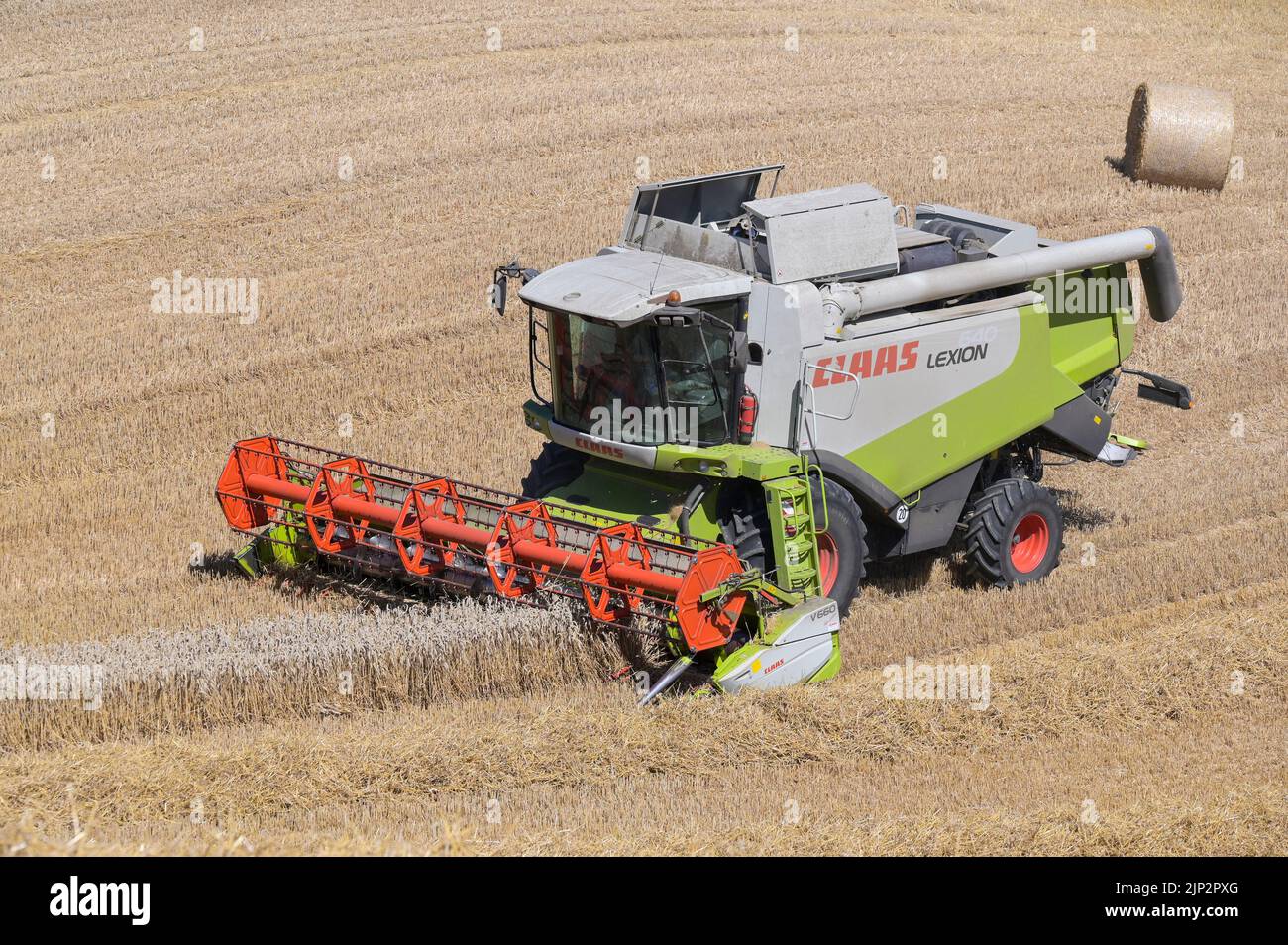 Germany, wheat harvest with Claas combine harvester / DEUTSCHLAND ...