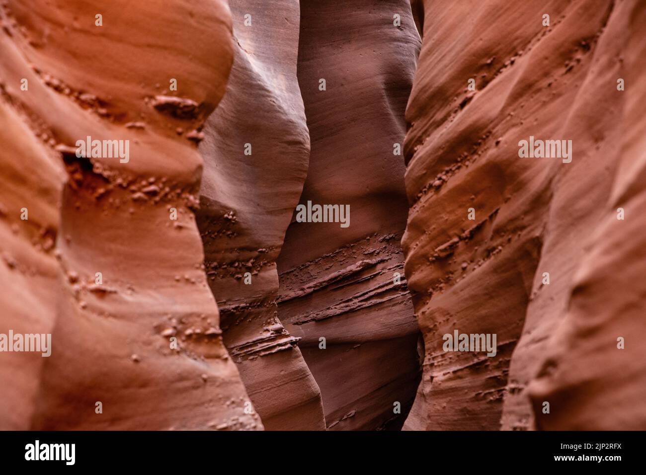 A closeup shot of a brown sandy cave with narrow passageway and ...