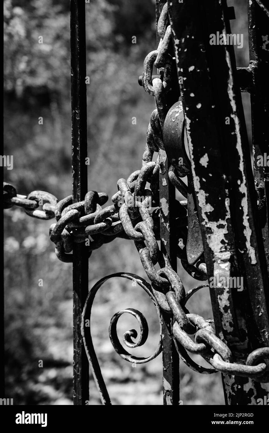 A vertical grayscale shot of a gate chain Stock Photo - Alamy