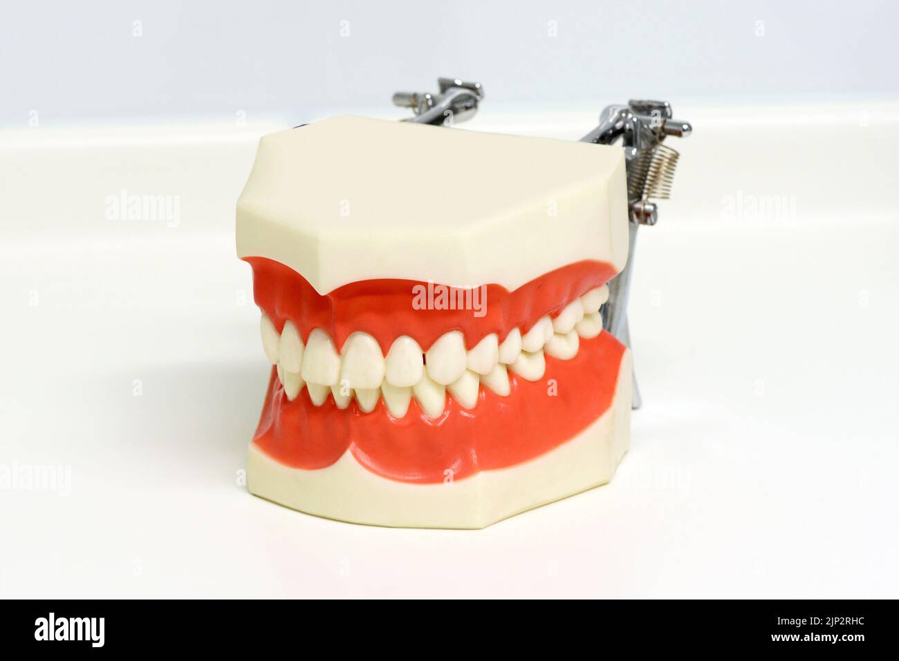 teeth, plaster, teeths, plasters Stock Photo - Alamy