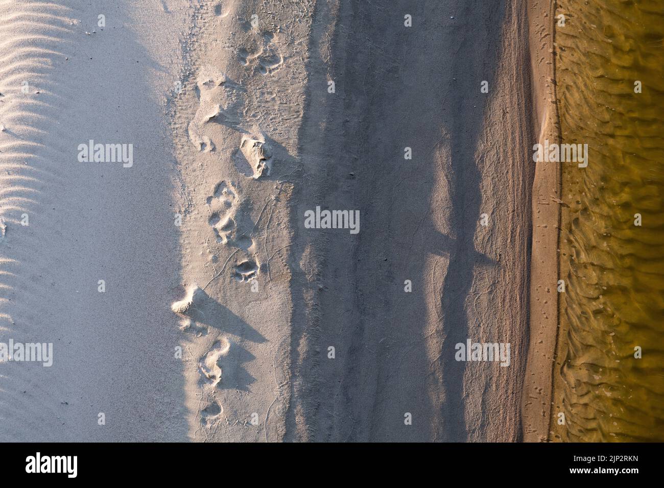 Dolina Dolnej Wisly (Lower Vistula Valley) in Knybawa, Poland ...