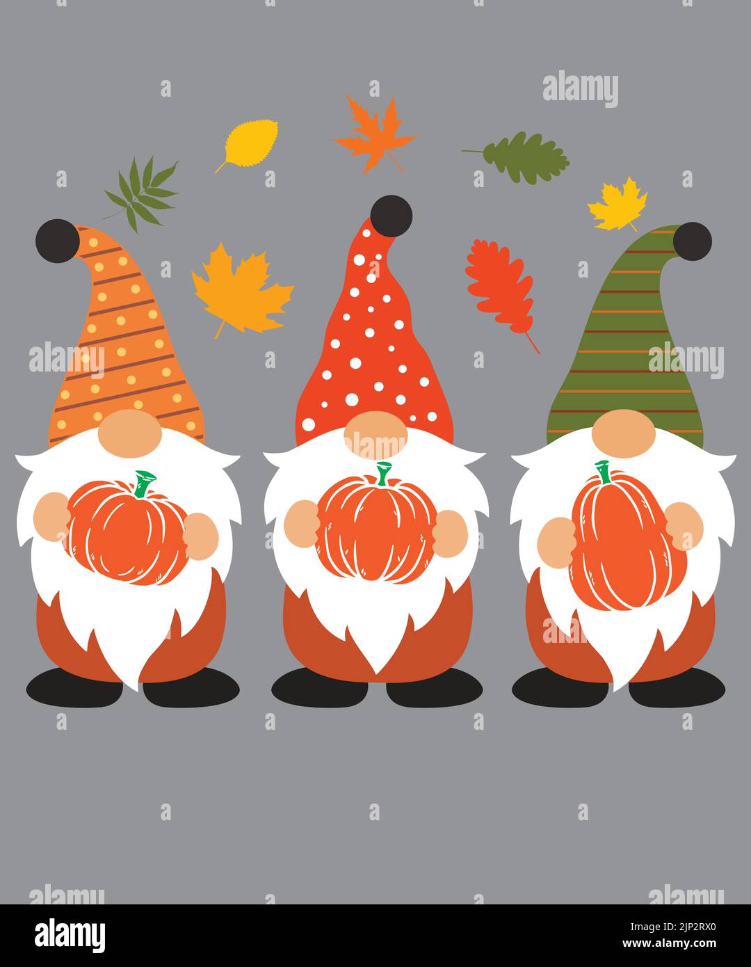 A vector of three fall gnomes with pumpkin Stock Vector Image & Art - Alamy