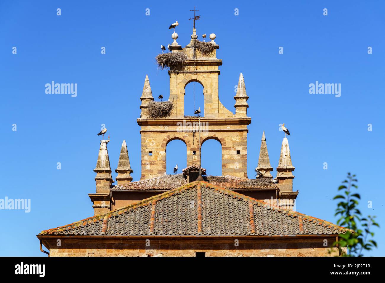 Medieval church tower with many storks and their nests on a blue ...