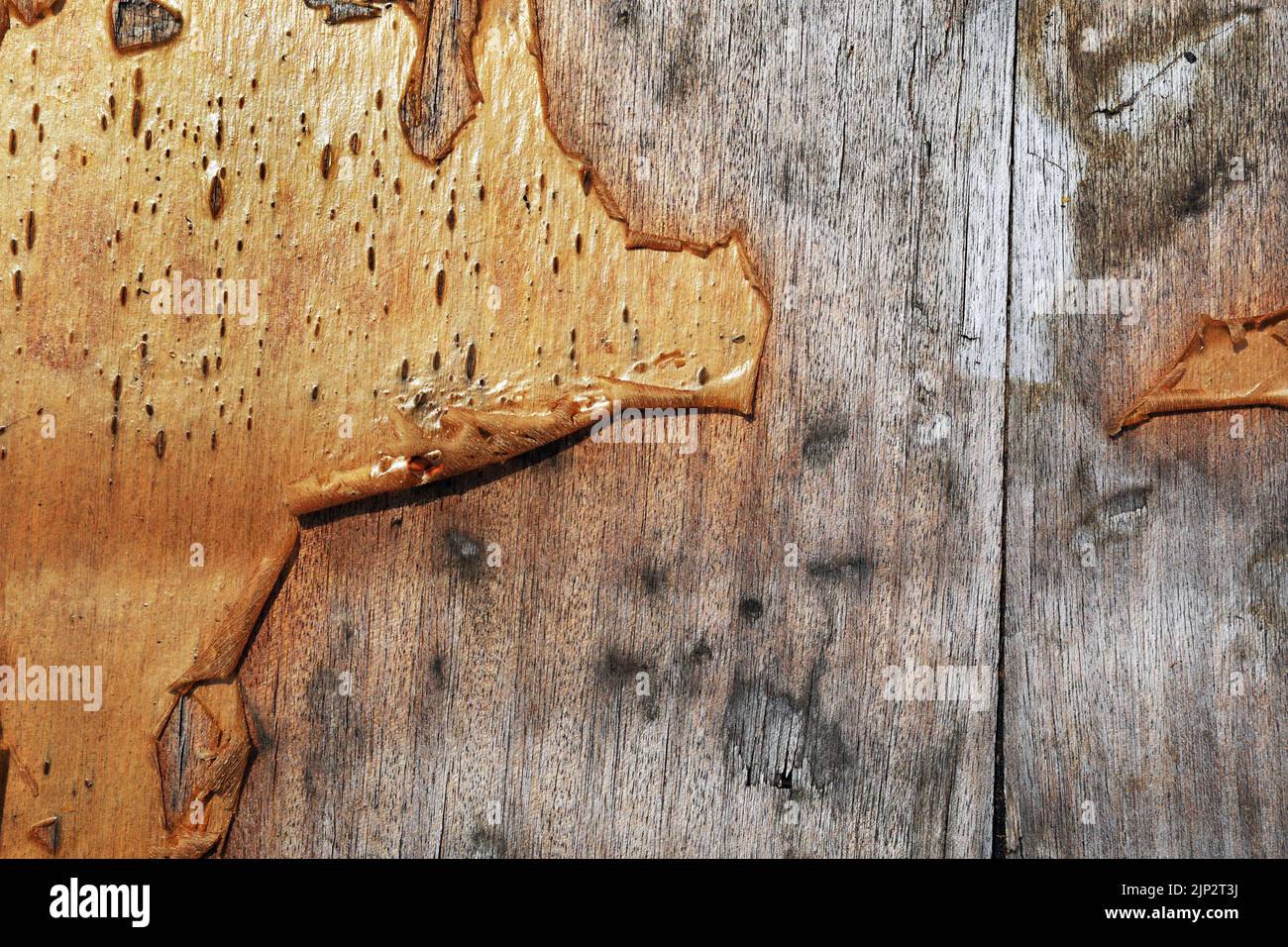 texture, wood, flaking, wooden wall, stained, textures, woodland ...