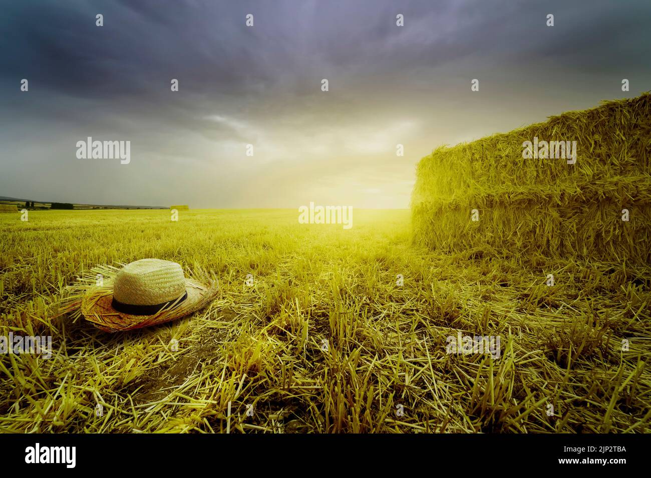 Harvest tones hi-res stock photography and images - Alamy