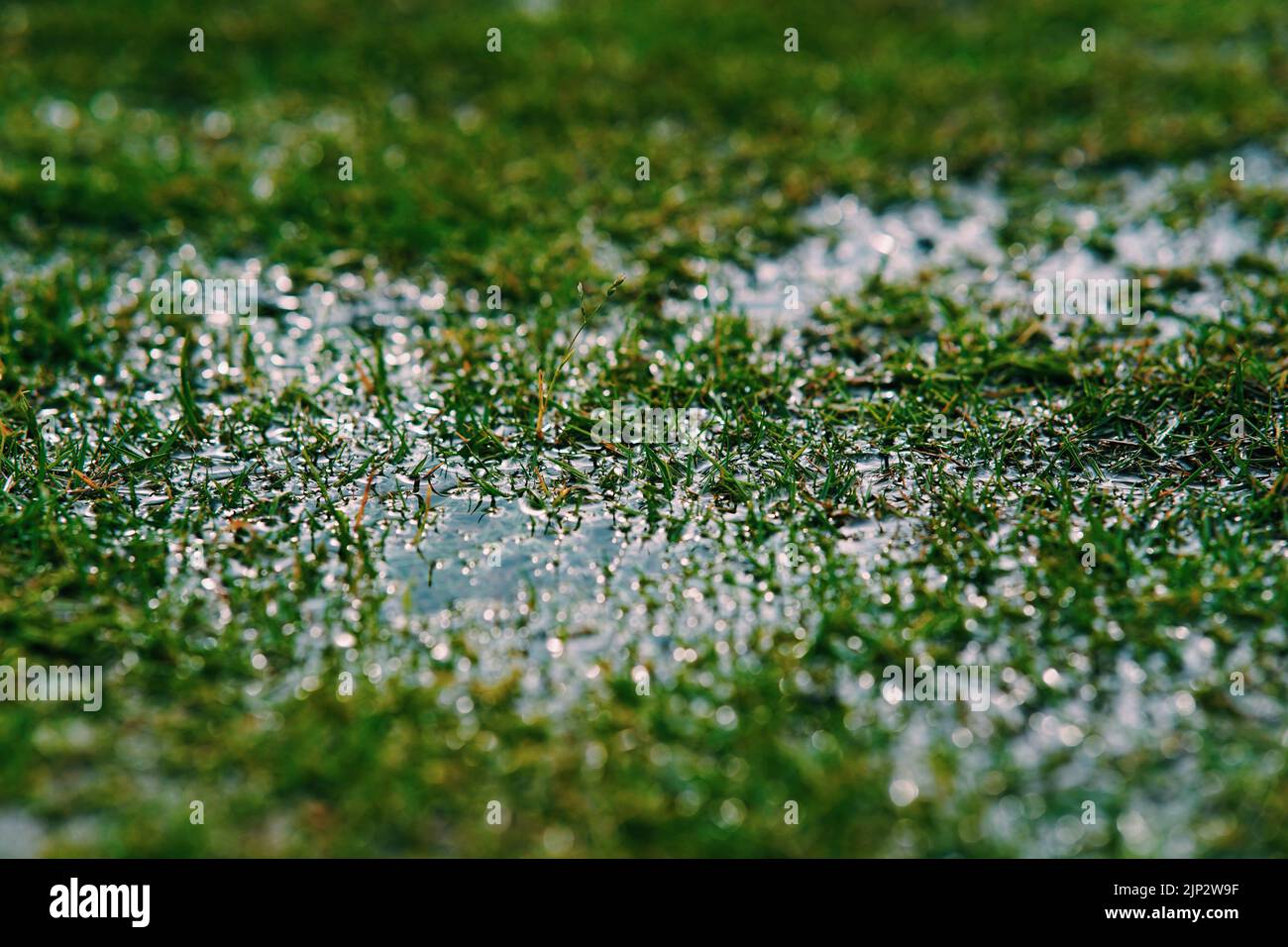 Surface a grass hi-res stock photography and images - Alamy