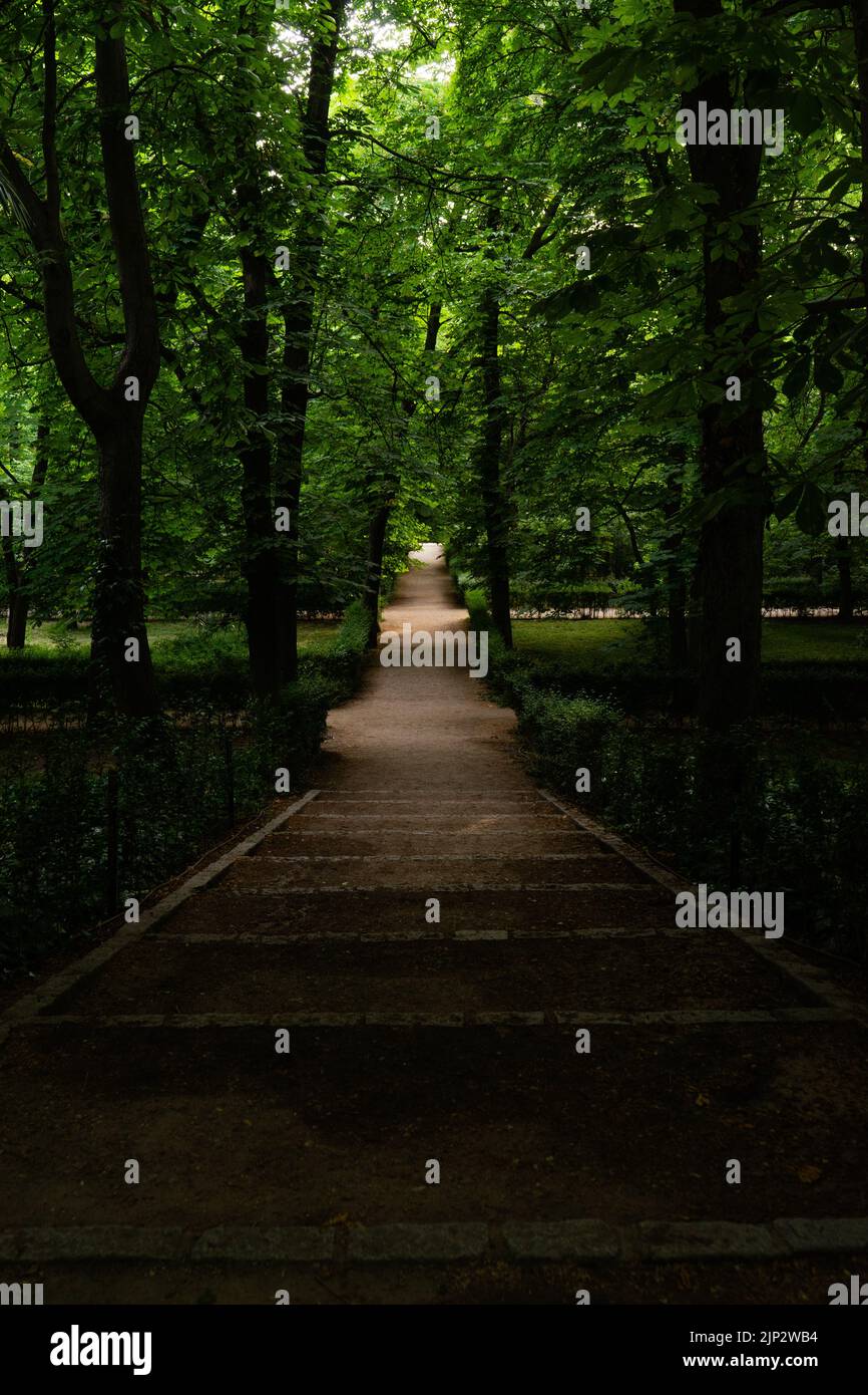 A pathway "El Retiro", and the contrast between light and shadow work ...
