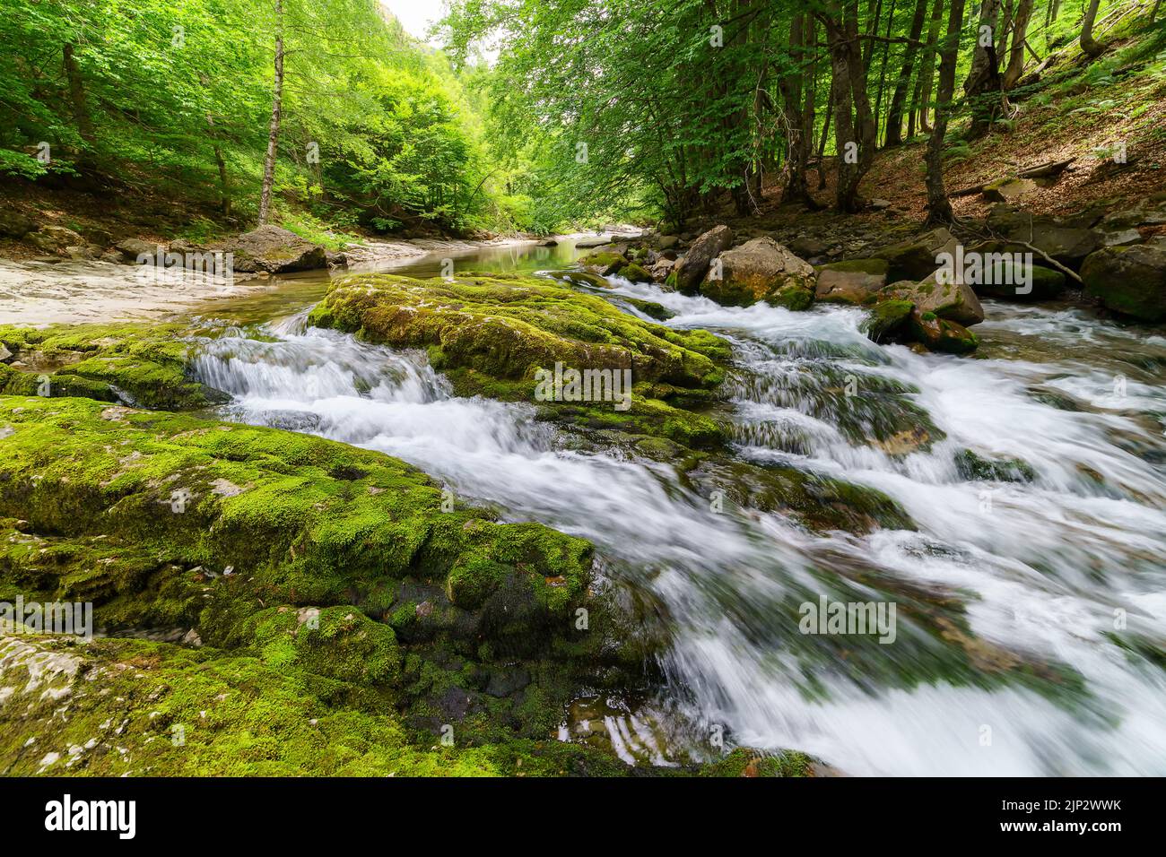 Waterfall in fast river. Water falling on the ground rocks in green ...