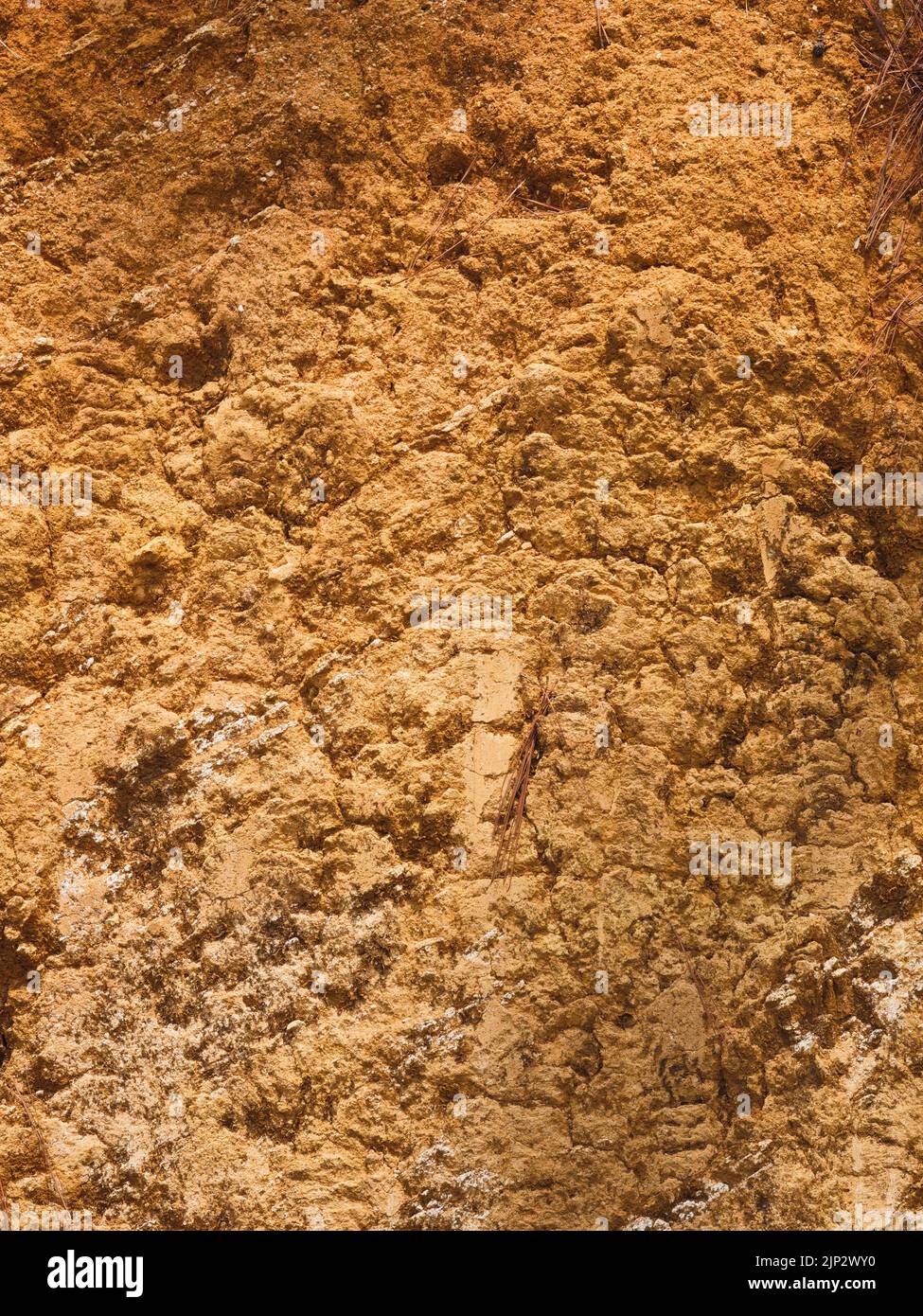 Close-up of Soil Background in Agriculture Lan Stock Photo - Alamy