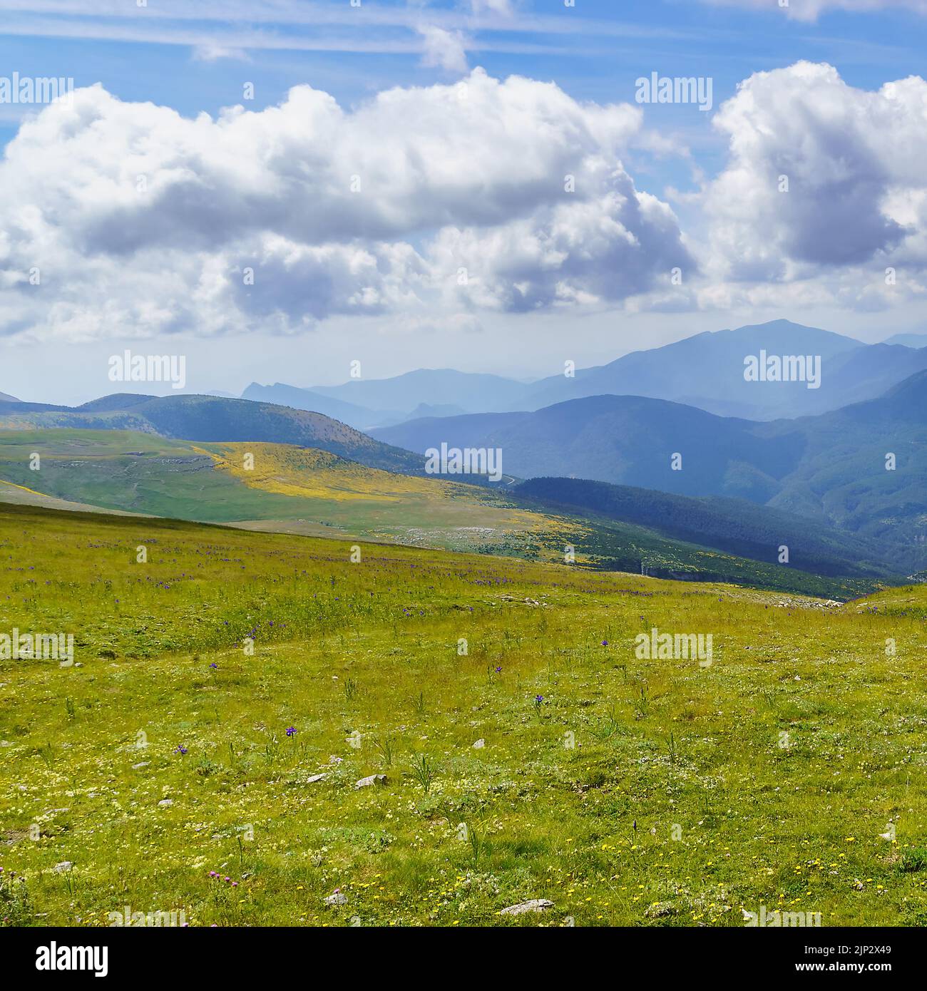 Mountain range with green meadows, flowers and blue sky with big white ...