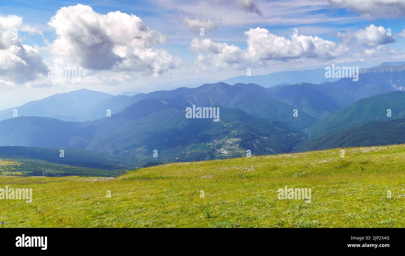 Mountain range with green meadows, flowers and blue sky with big white ...