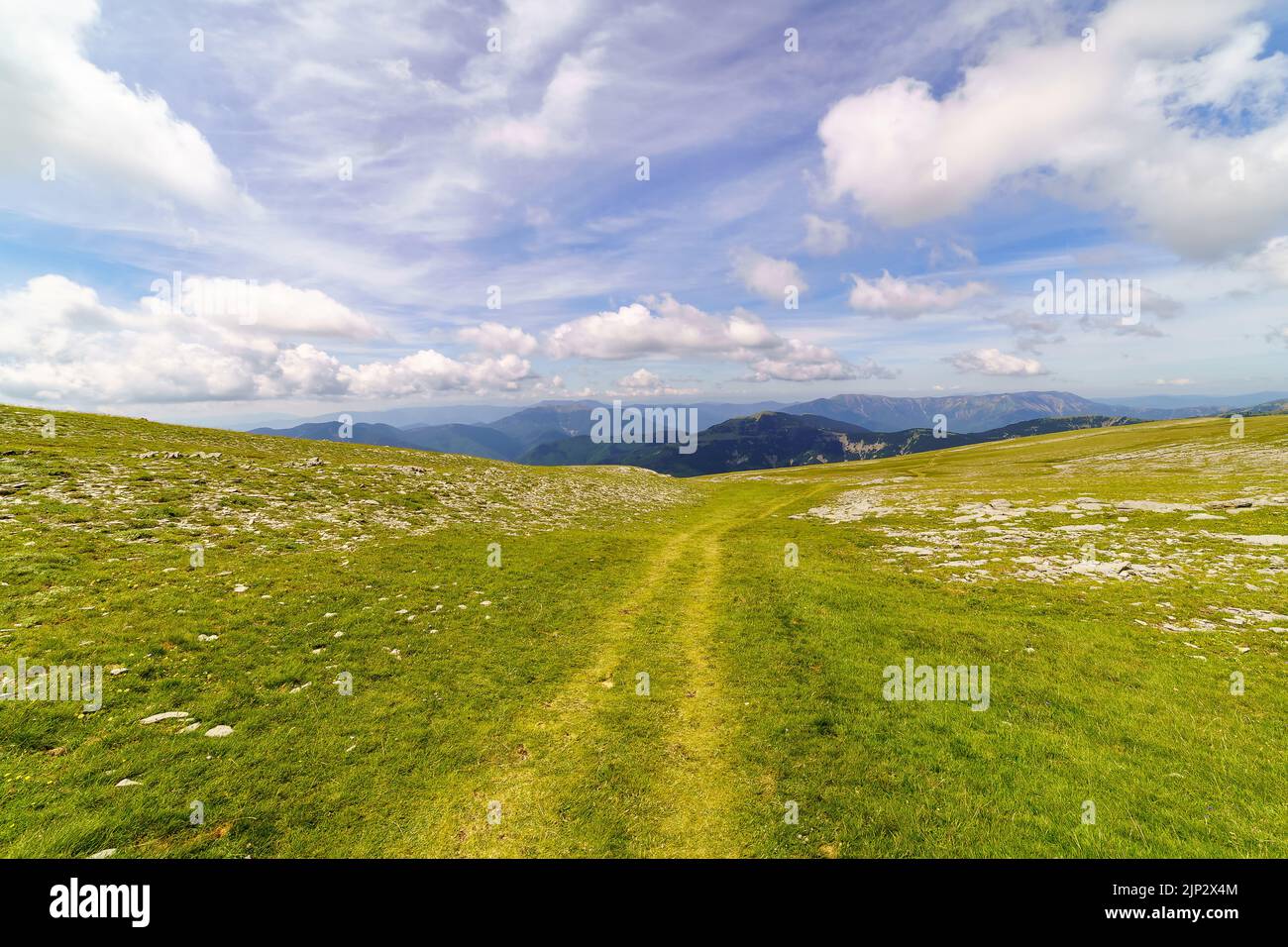 Mountain range with green meadows, flowers and blue sky with big white ...