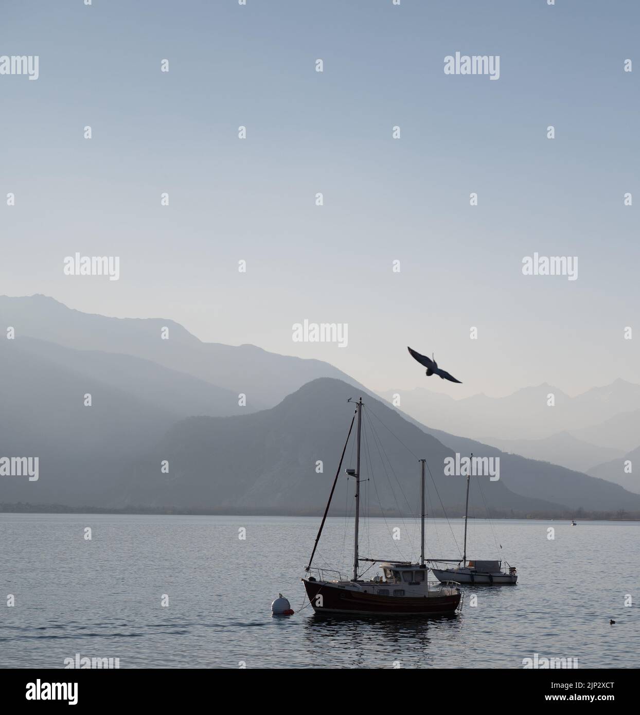 Two boats sailing on the tranquil lake while a bird is flying above ...