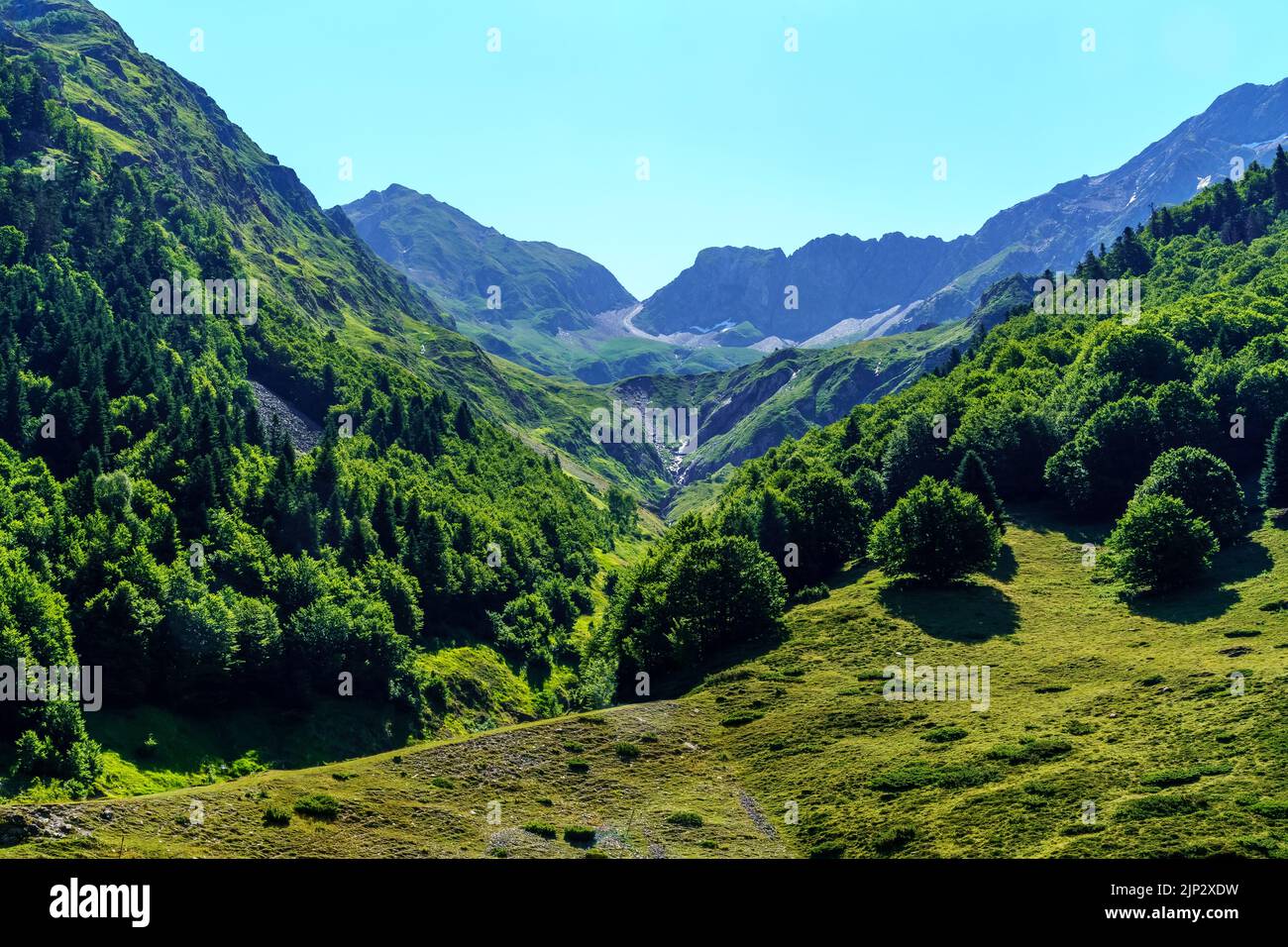 Green high mountain landscape with conifers and high peaks in the ...