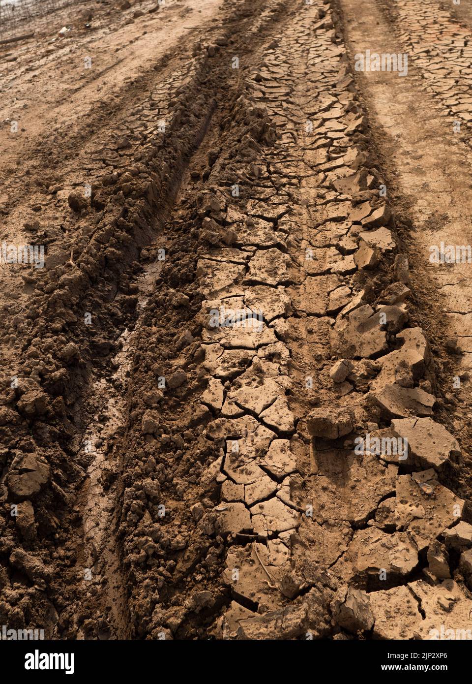 Global warming, Drought in the summer, the ground is dry Stock Photo ...