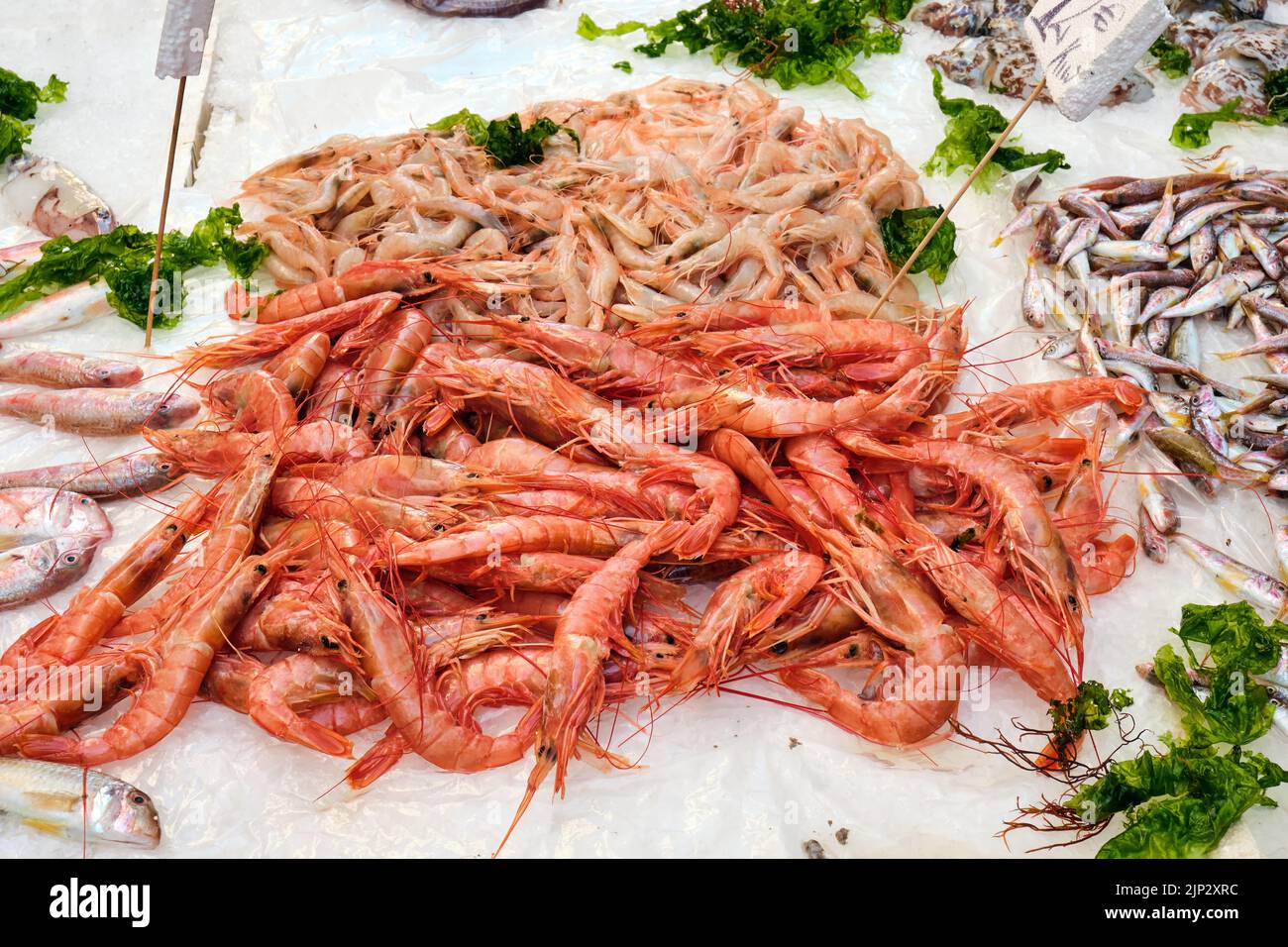 seafood, scampi, shrimp, fish counter, seafoods, shrimps, fish counters ...