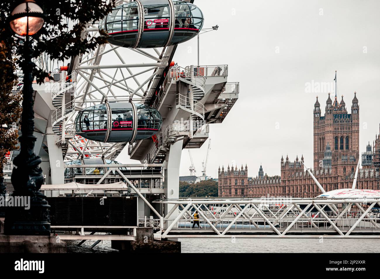 The London Eye or Millennium Wheel against the Palace of Westminster ...