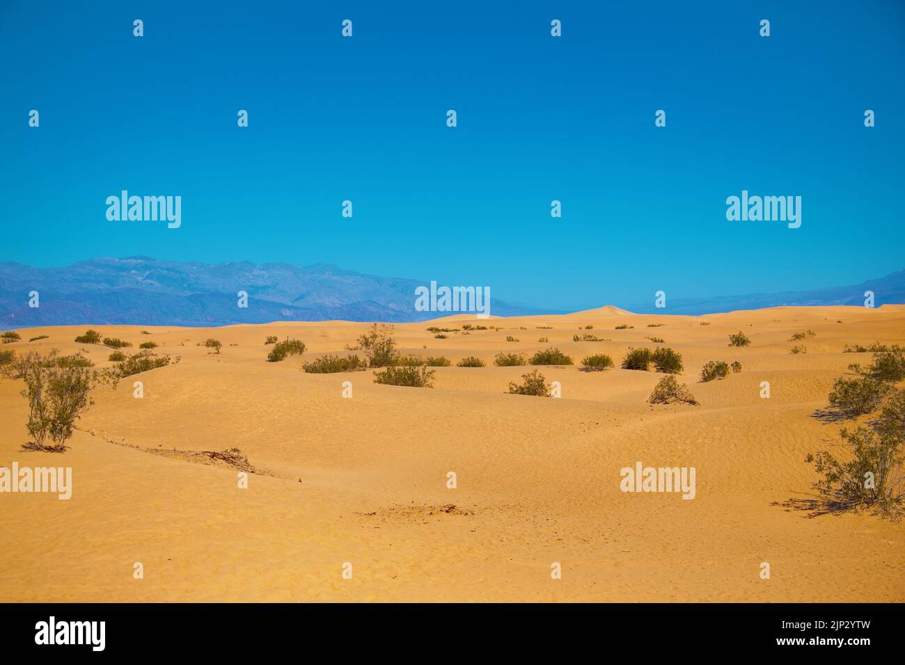The sandy desert of Death Valley National Park in extreme hot ...