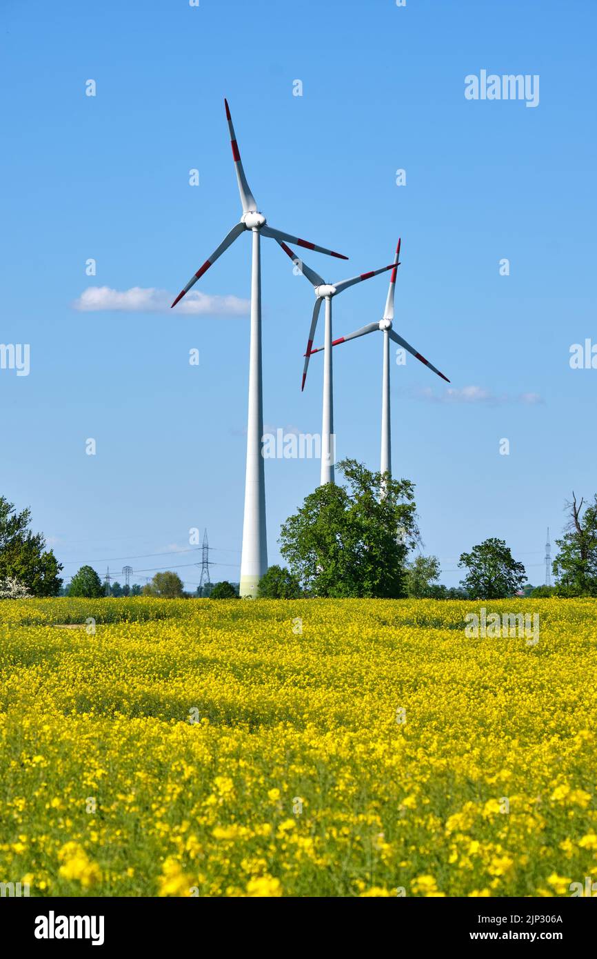 wind power, pinwheel, renewable energy, wind powers, pinwheels ...