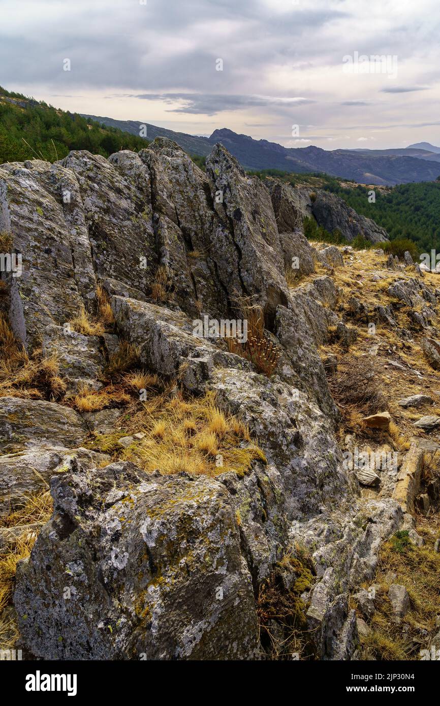 Landscape of rocks with green plants, dramatic sky with clouds and ...