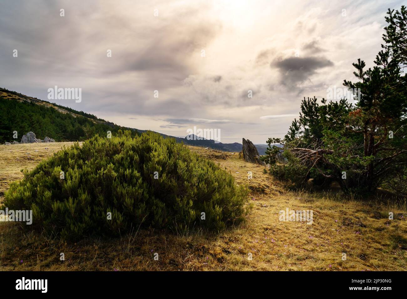 Landscape of rocks with green plants, dramatic sky with clouds and ...