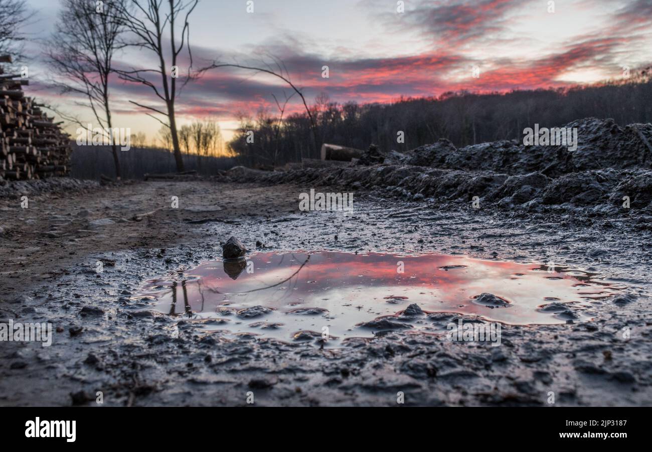 Reflection in a puddle Stock Photo - Alamy