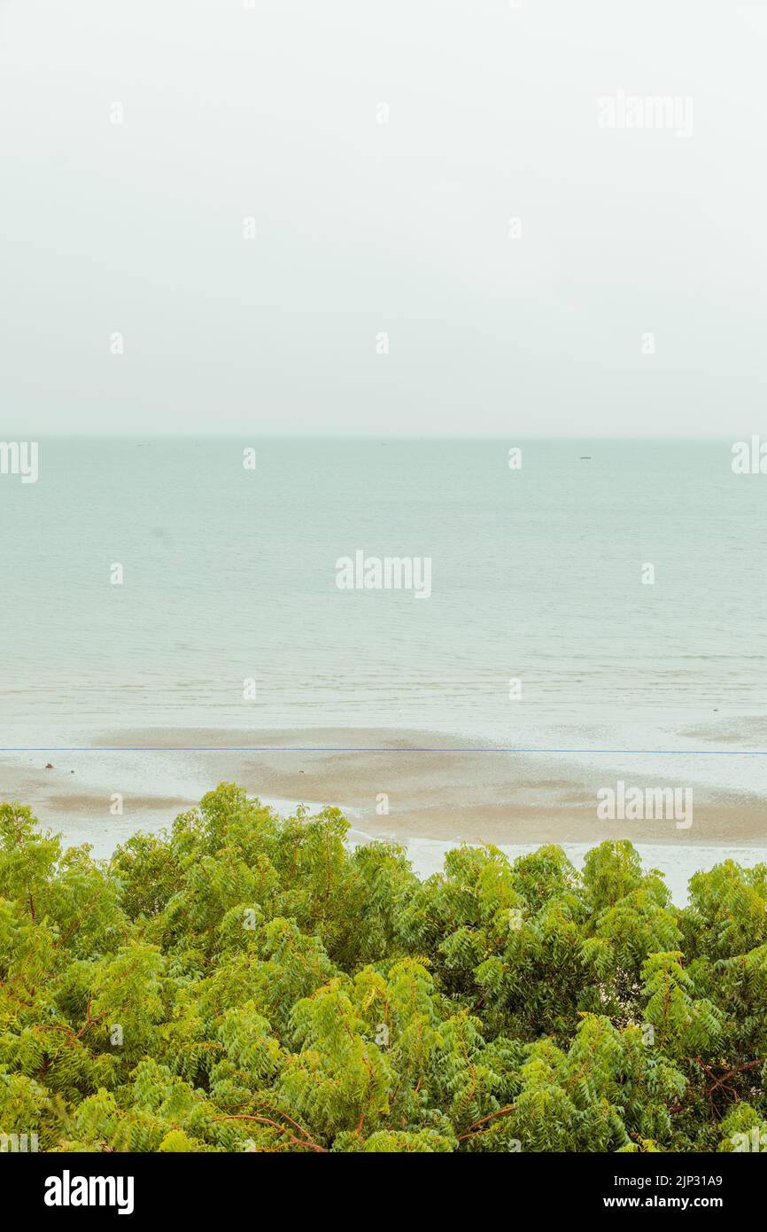 A vertical shot of the calm sea with green coastline trees under the ...