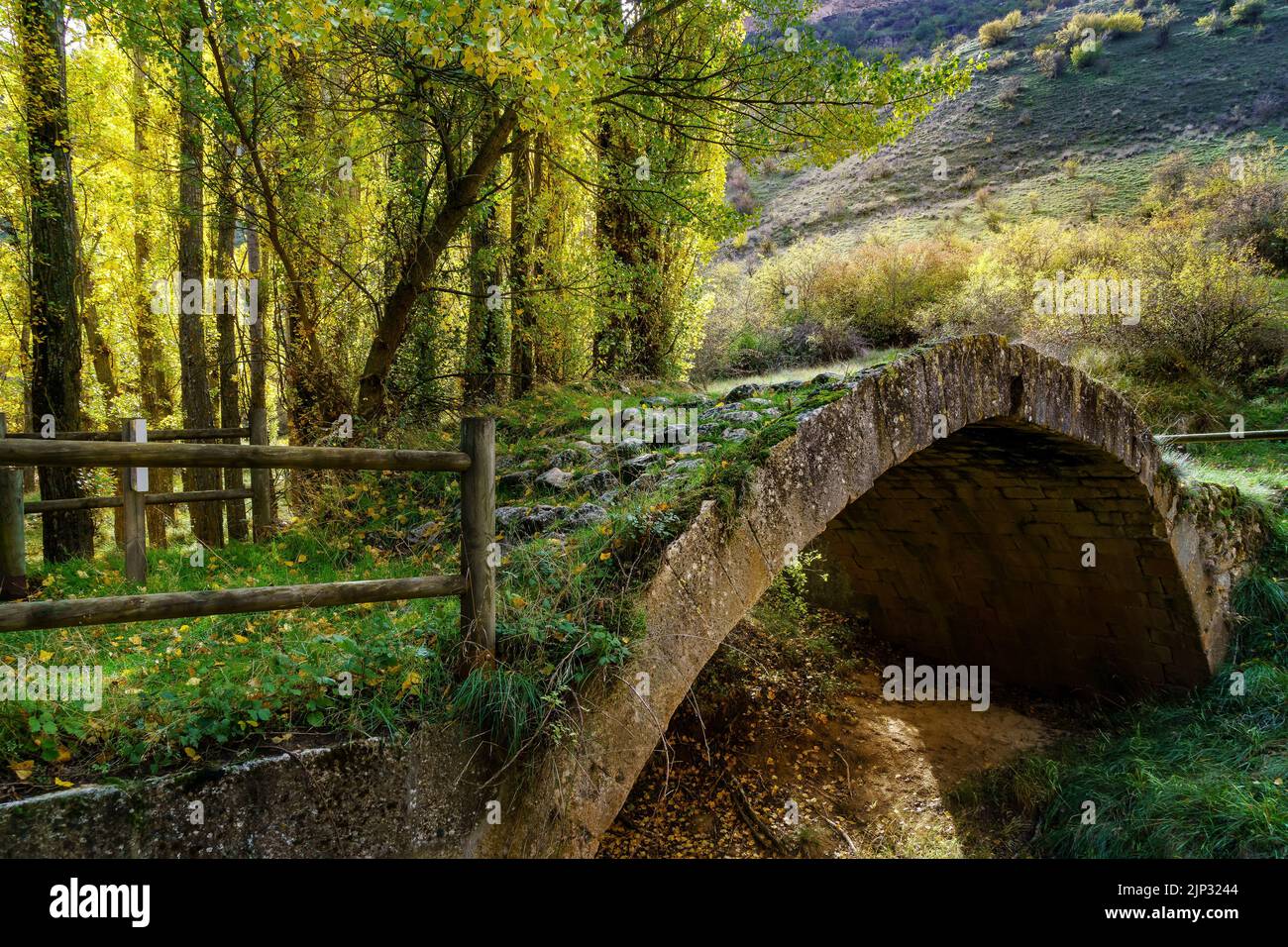 Stone bridge in the forest. Autumn landscape with yellow trees and ...