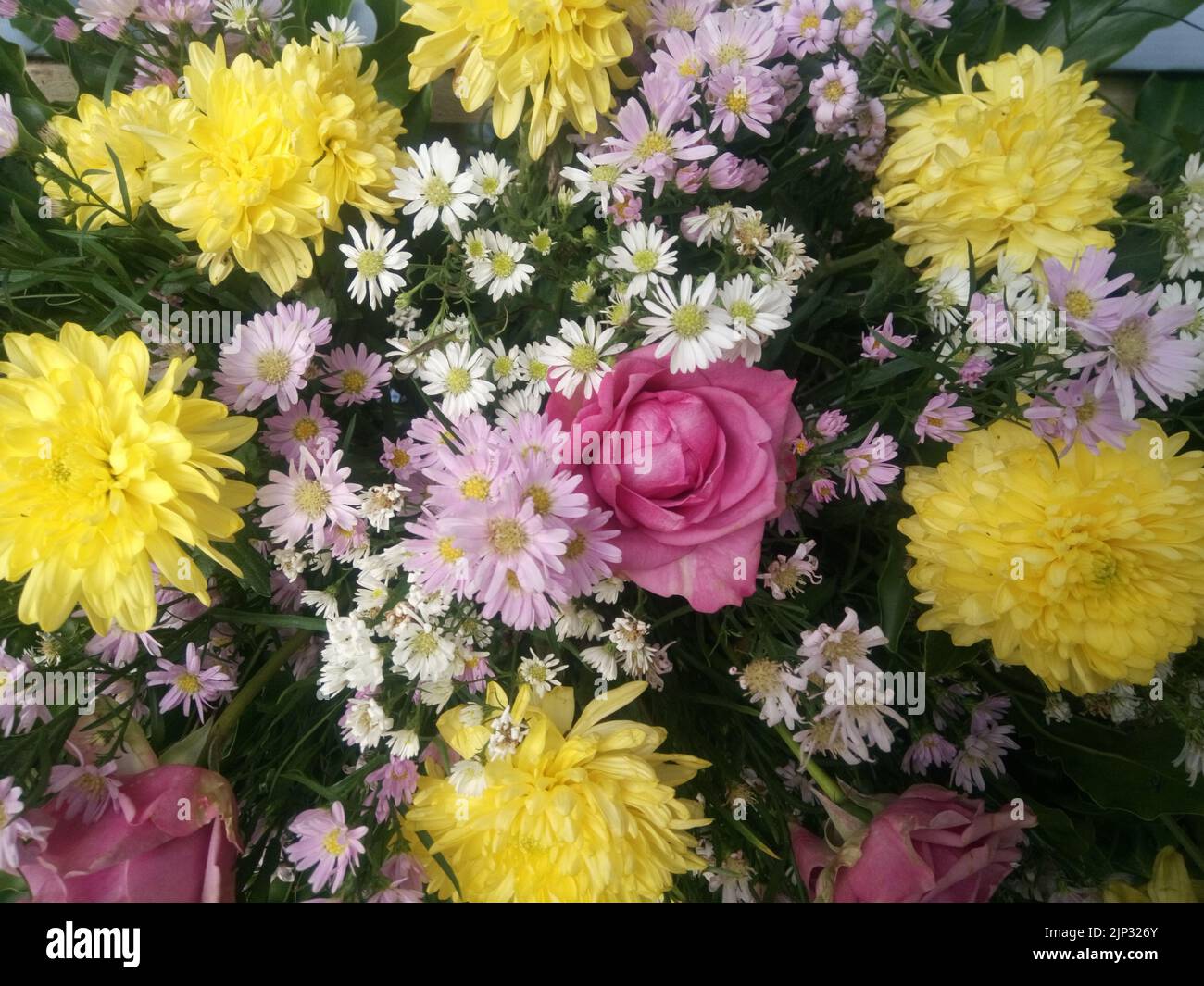 Floral patterns in various colors hi-res stock photography and images ...