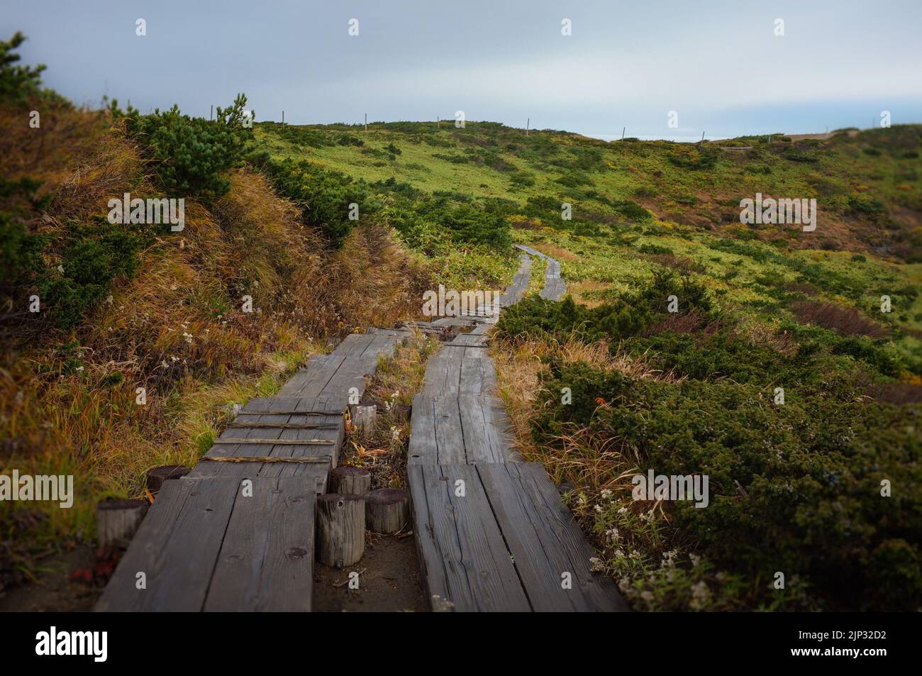 Meadow pathway hi-res stock photography and images - Alamy