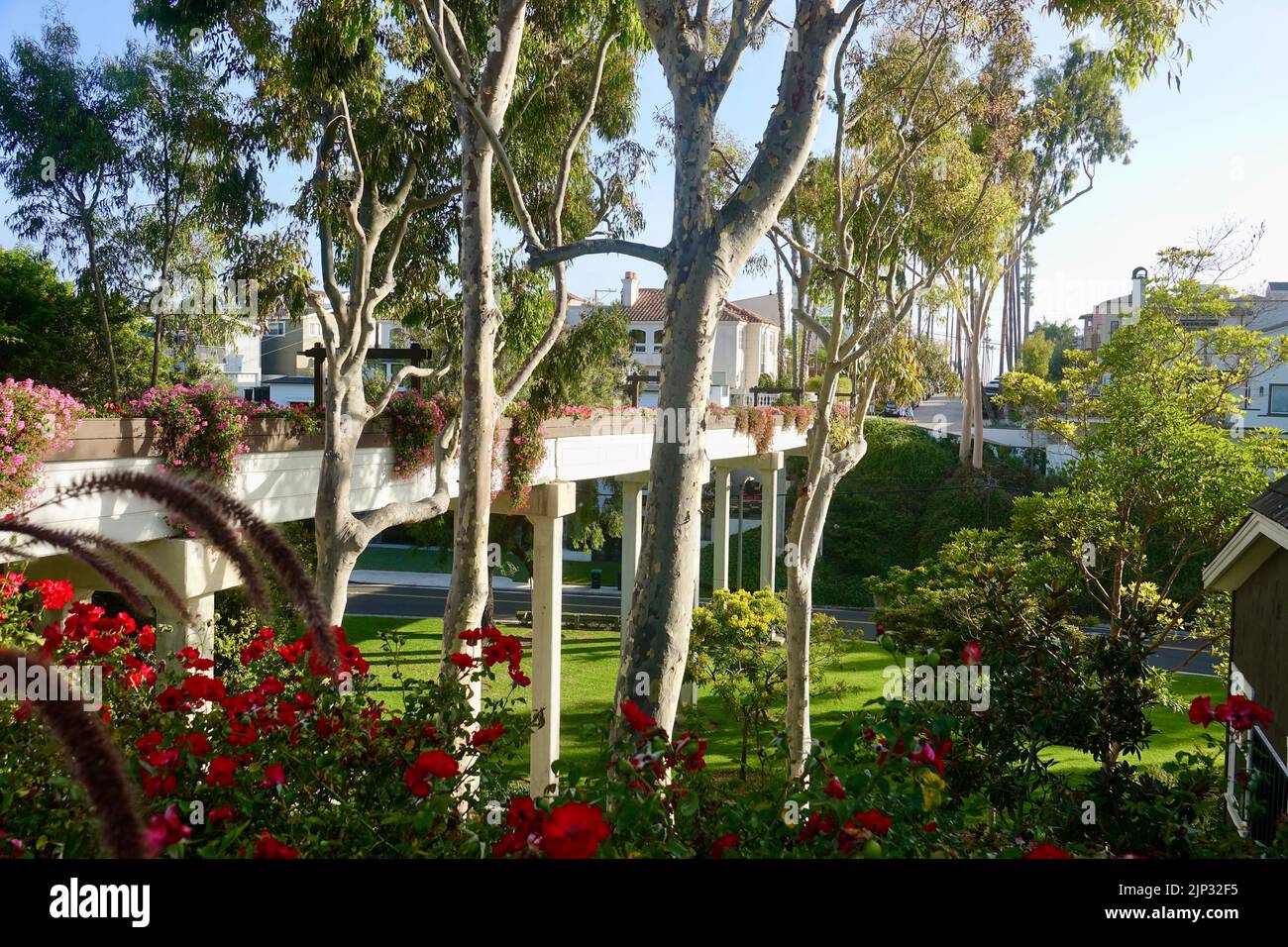 Side view pedestrian footbridge hi-res stock photography and images - Alamy