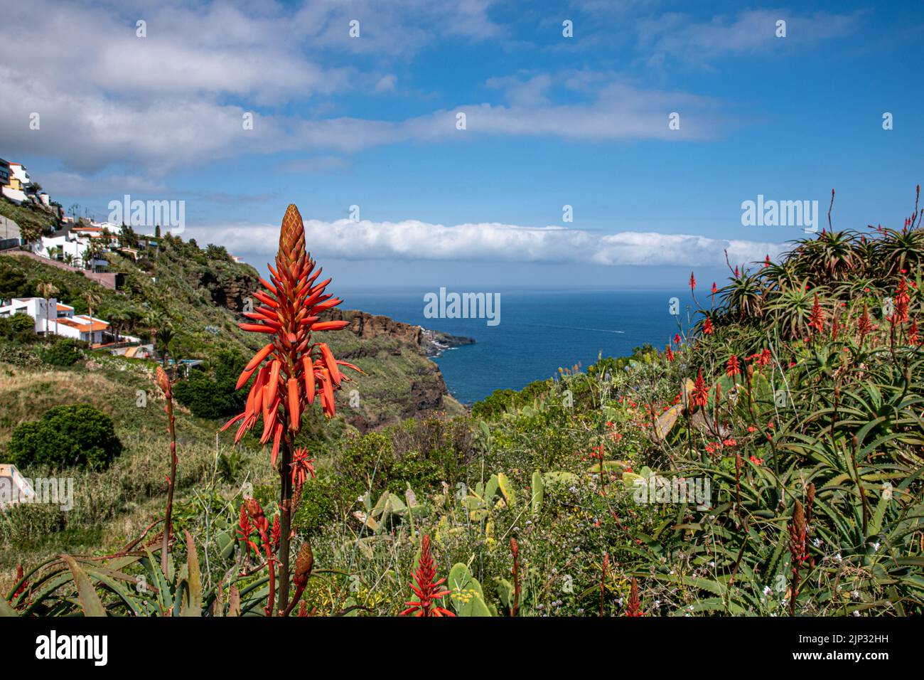 Beautiful Madeira in Portugal surrounded by vegetation and a cloudscape ...