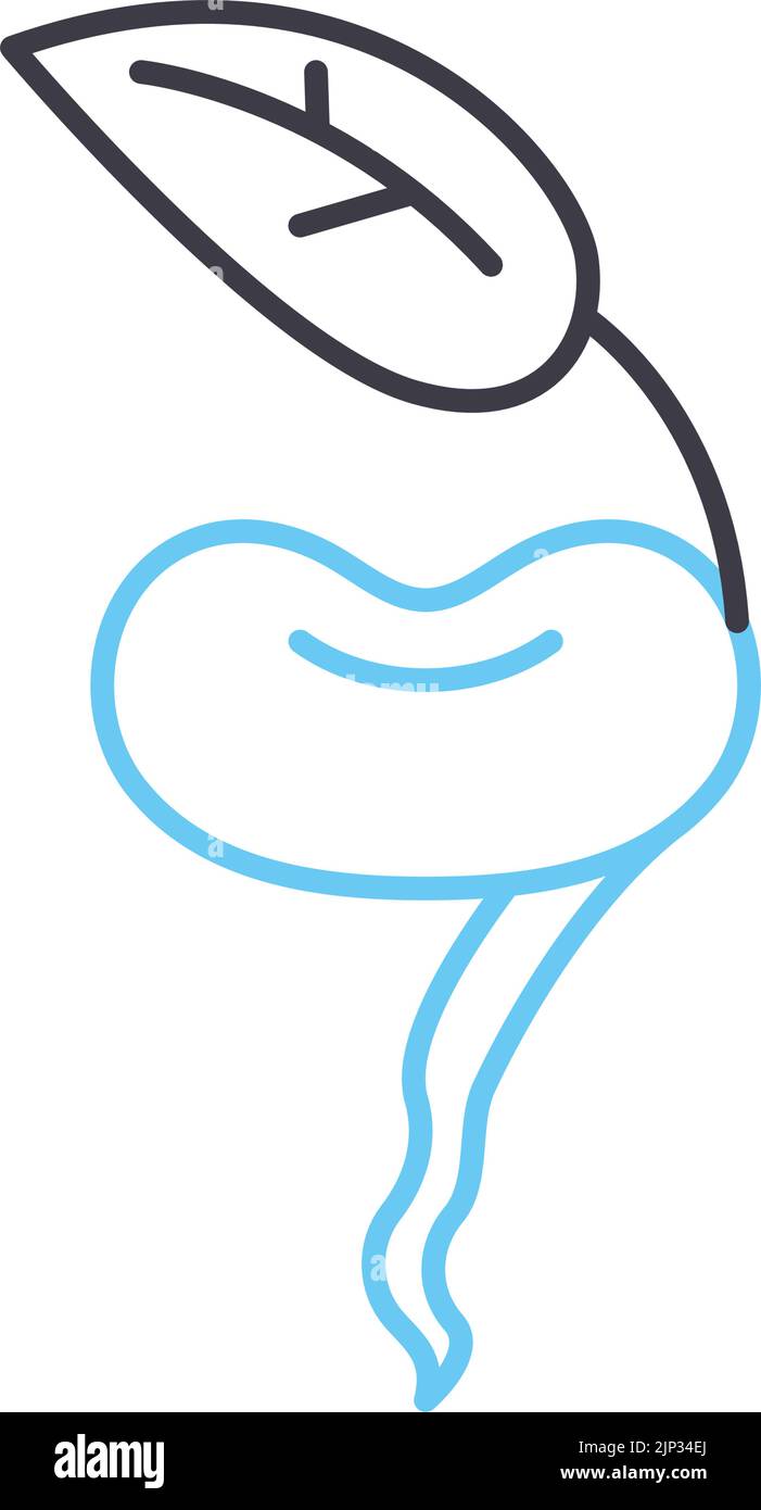 bean sprout line icon, outline symbol, vector illustration, concept ...