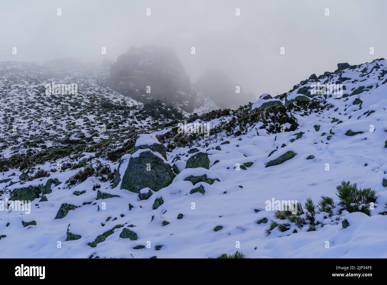 Snowy landscape of the Madrid mountain, white snow covering the ground ...