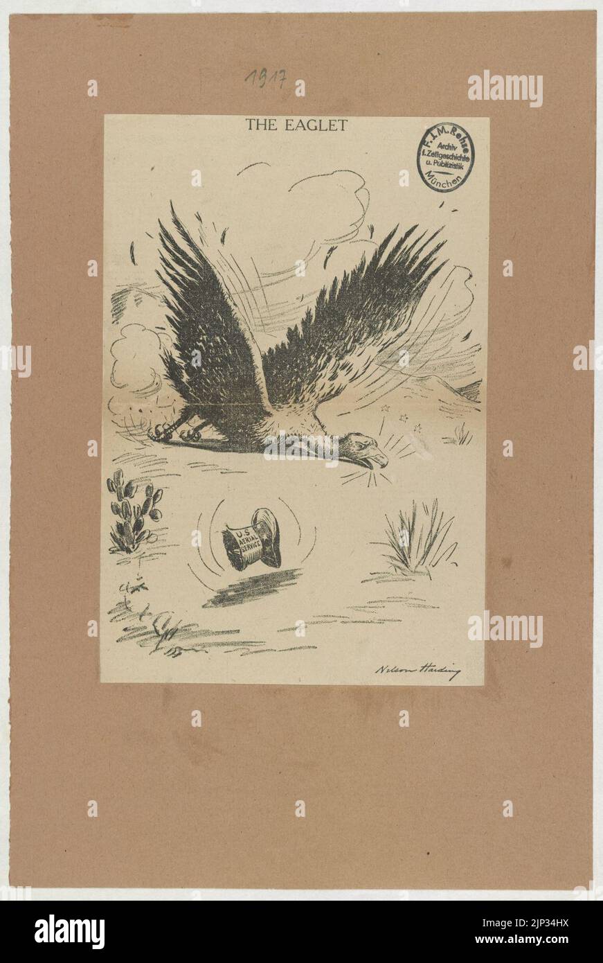 The eaglet - Nelson Harding Stock Photo - Alamy