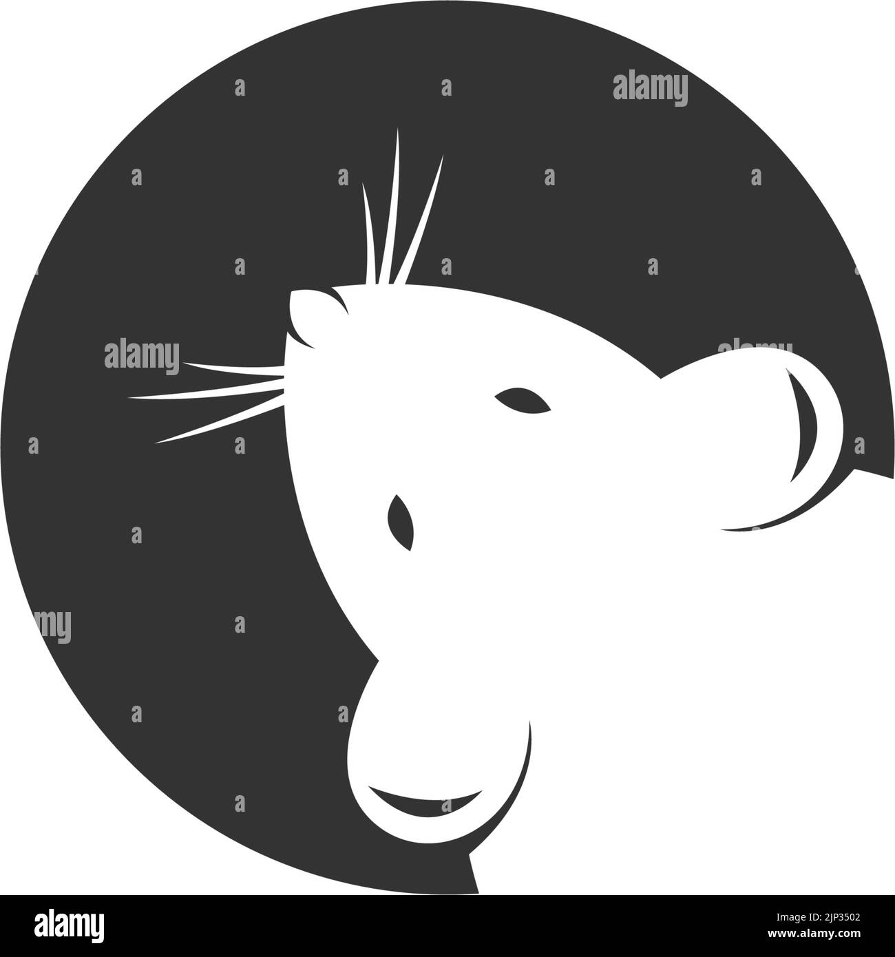 Anti rats hi-res stock photography and images - Alamy