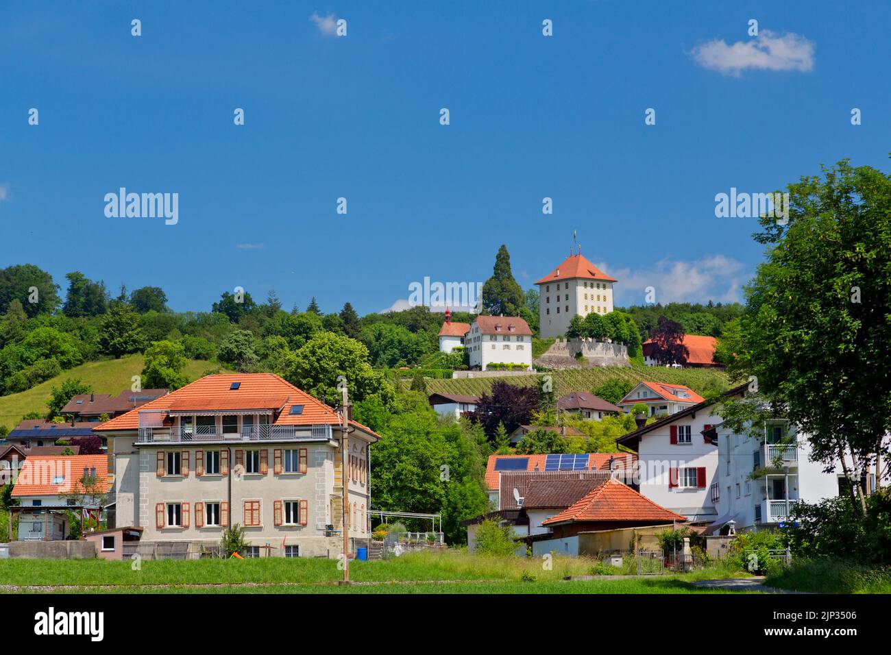 Beautiful Baldegg Castle in canton of Lucerne, Switzerland Stock Photo ...