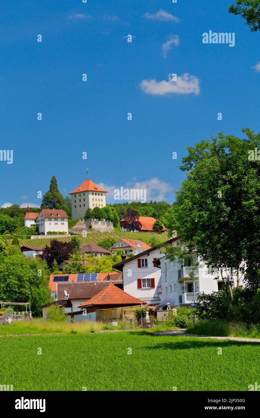 Beautiful Baldegg Castle in canton of Lucerne, Switzerland Stock Photo ...