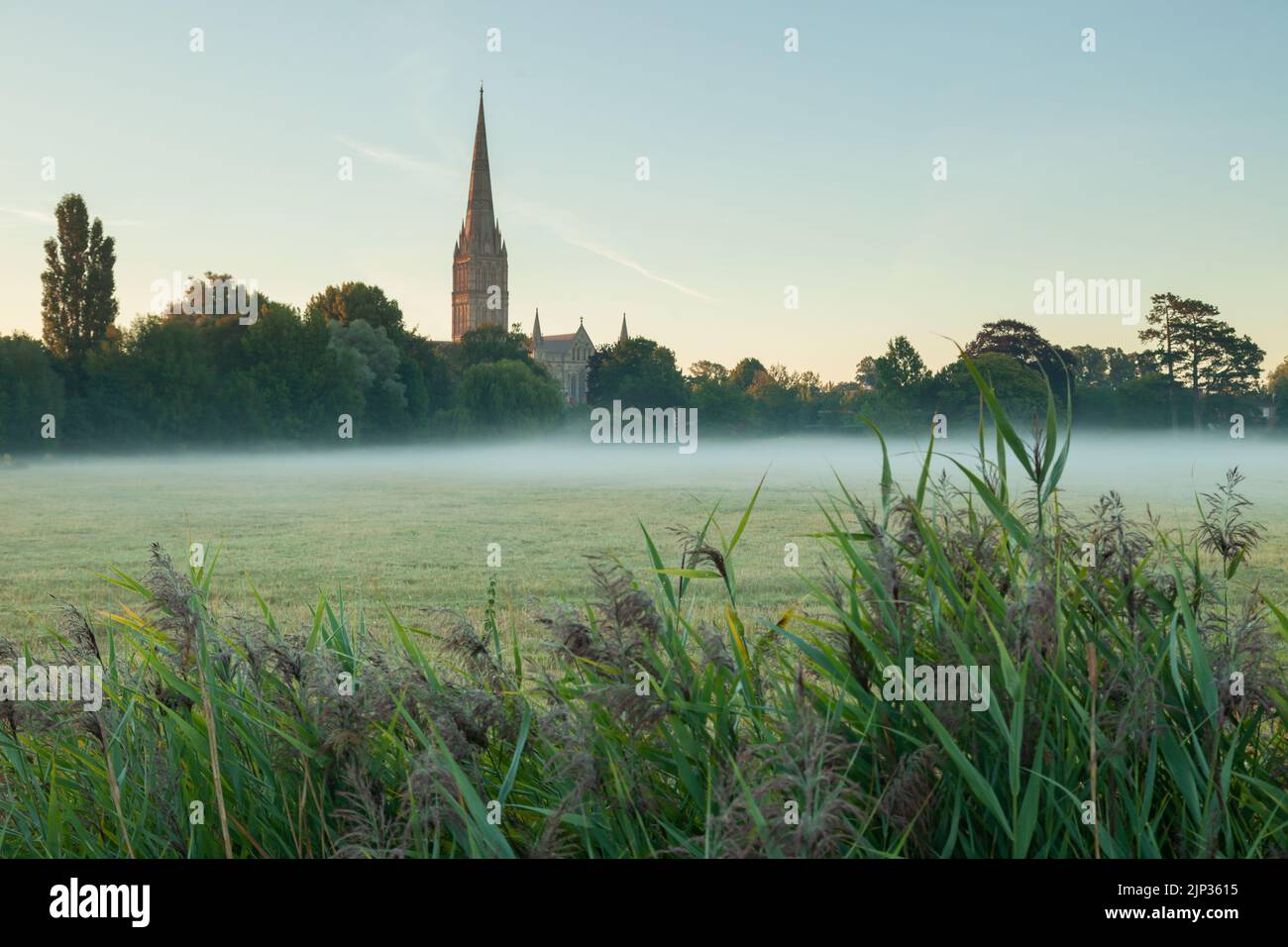 August morning at Salisbury Cathedral, seen across Harnham Water ...