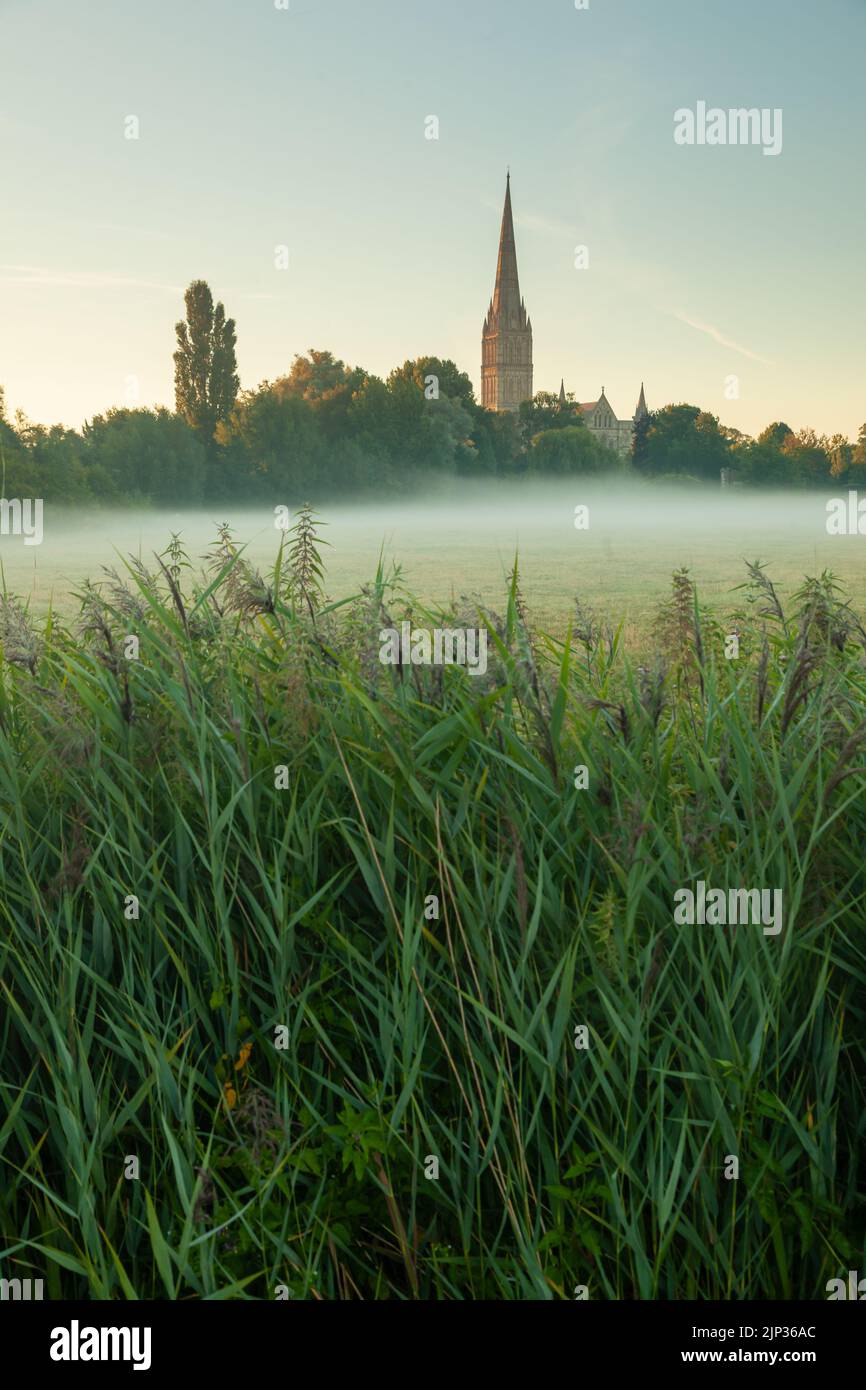 August sunrise at Salisbury Cathedral, seen across Harnham Water ...