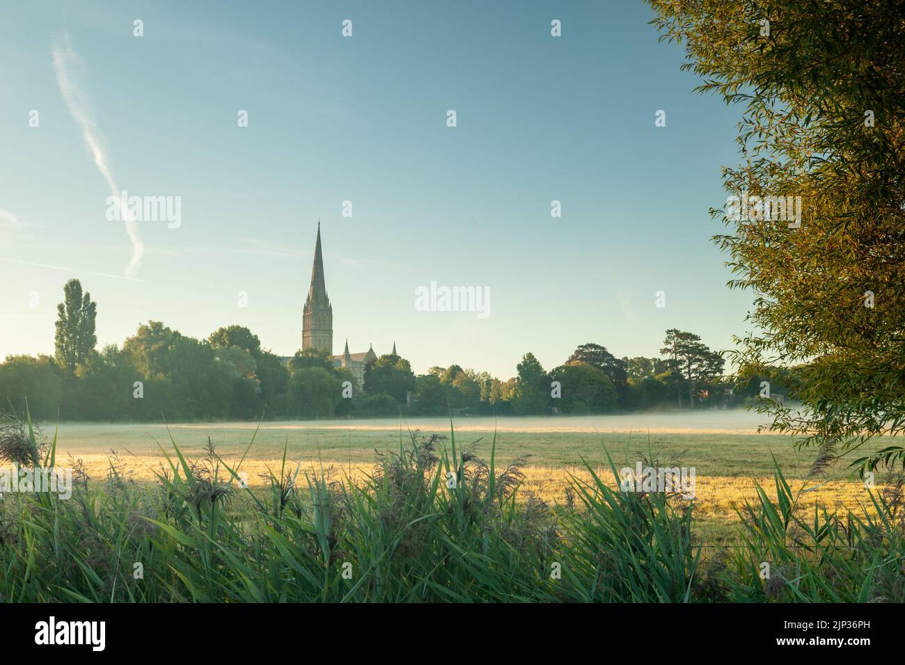 Salisbury cathedral water meadows hi-res stock photography and images ...