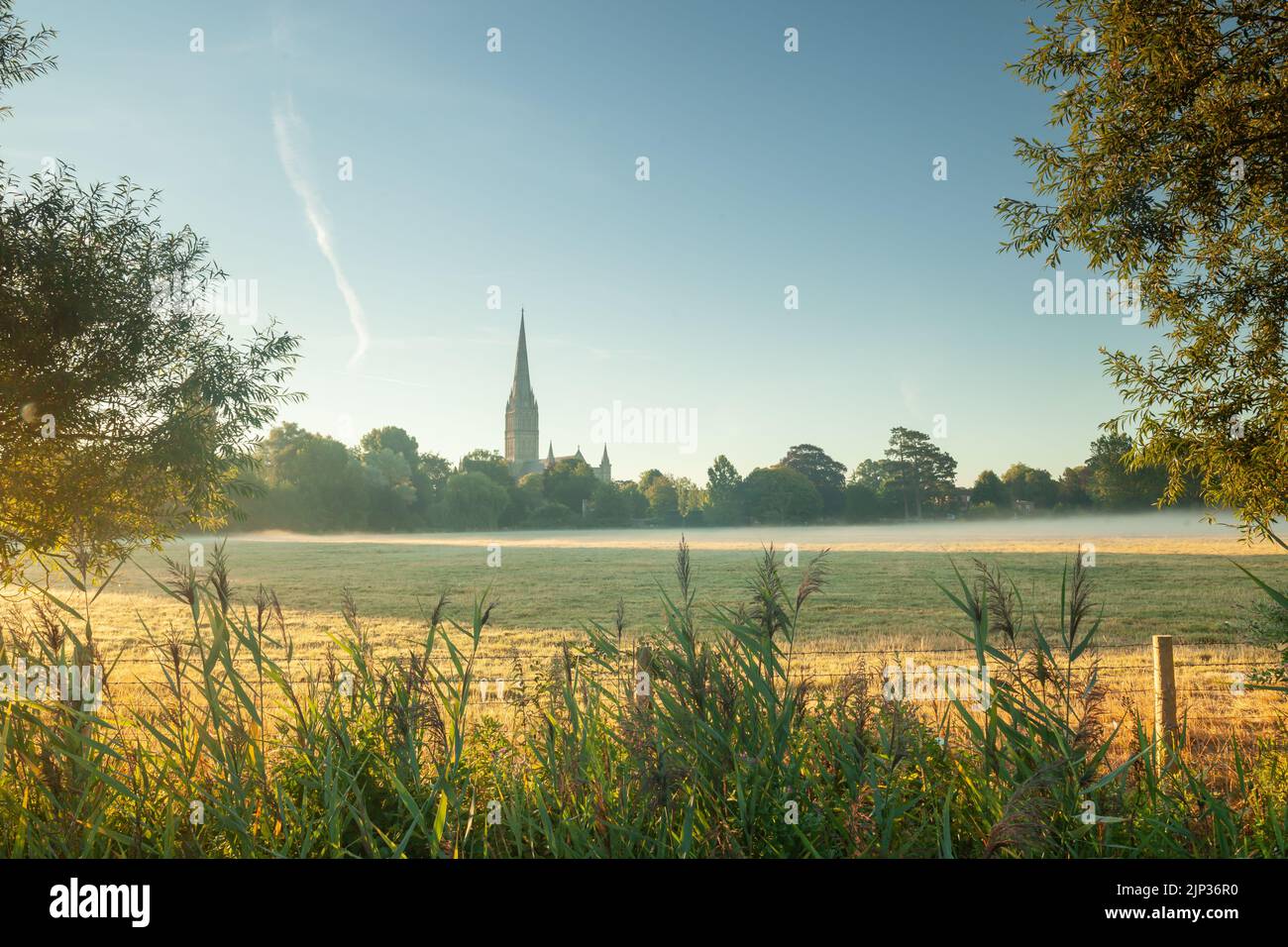 Sunrise at Harnham Water Meadows, Wiltshire, England Stock Photo - Alamy