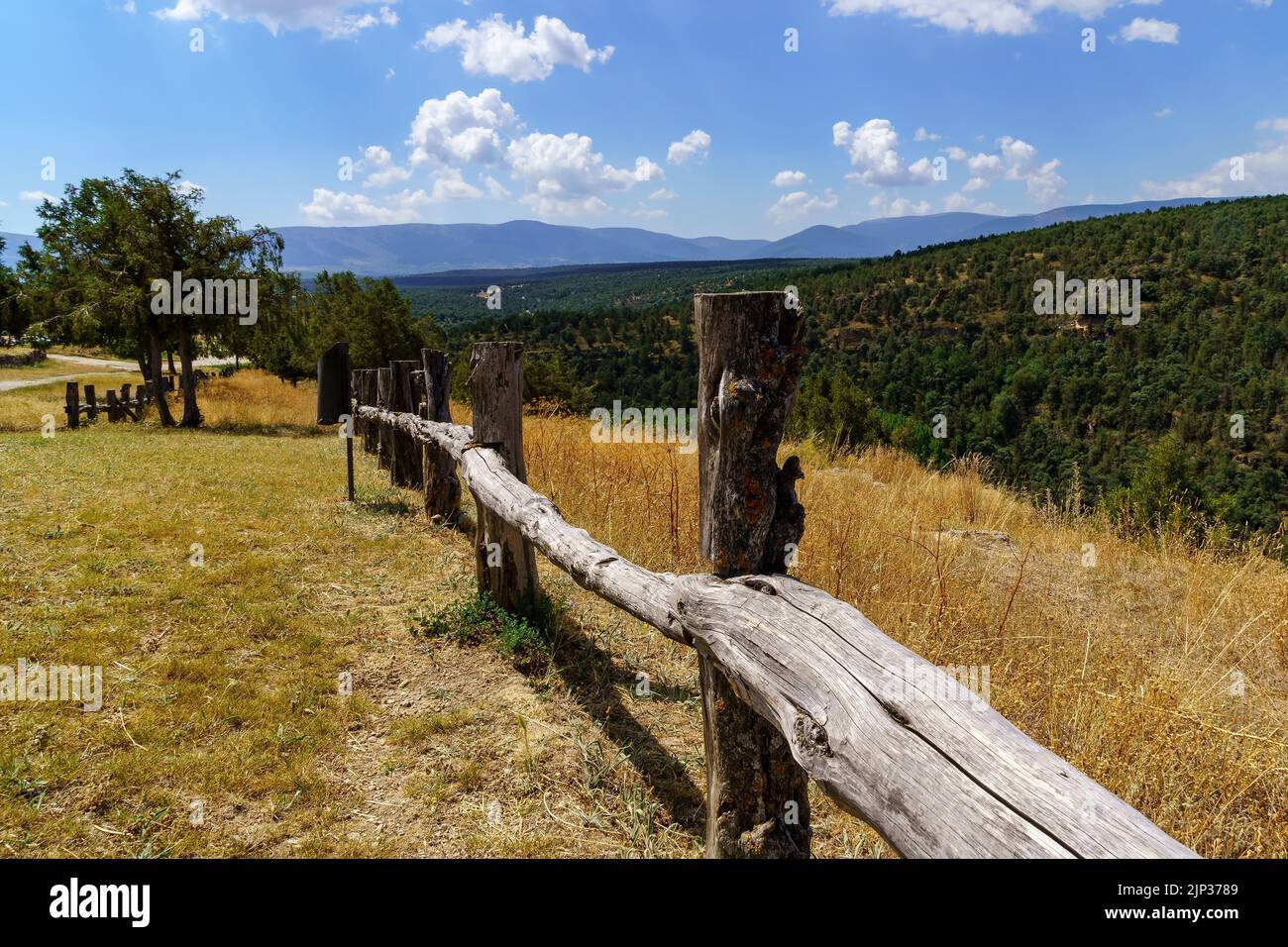 green landscape with wooden fence, grass meadows and tree forests, blue ...