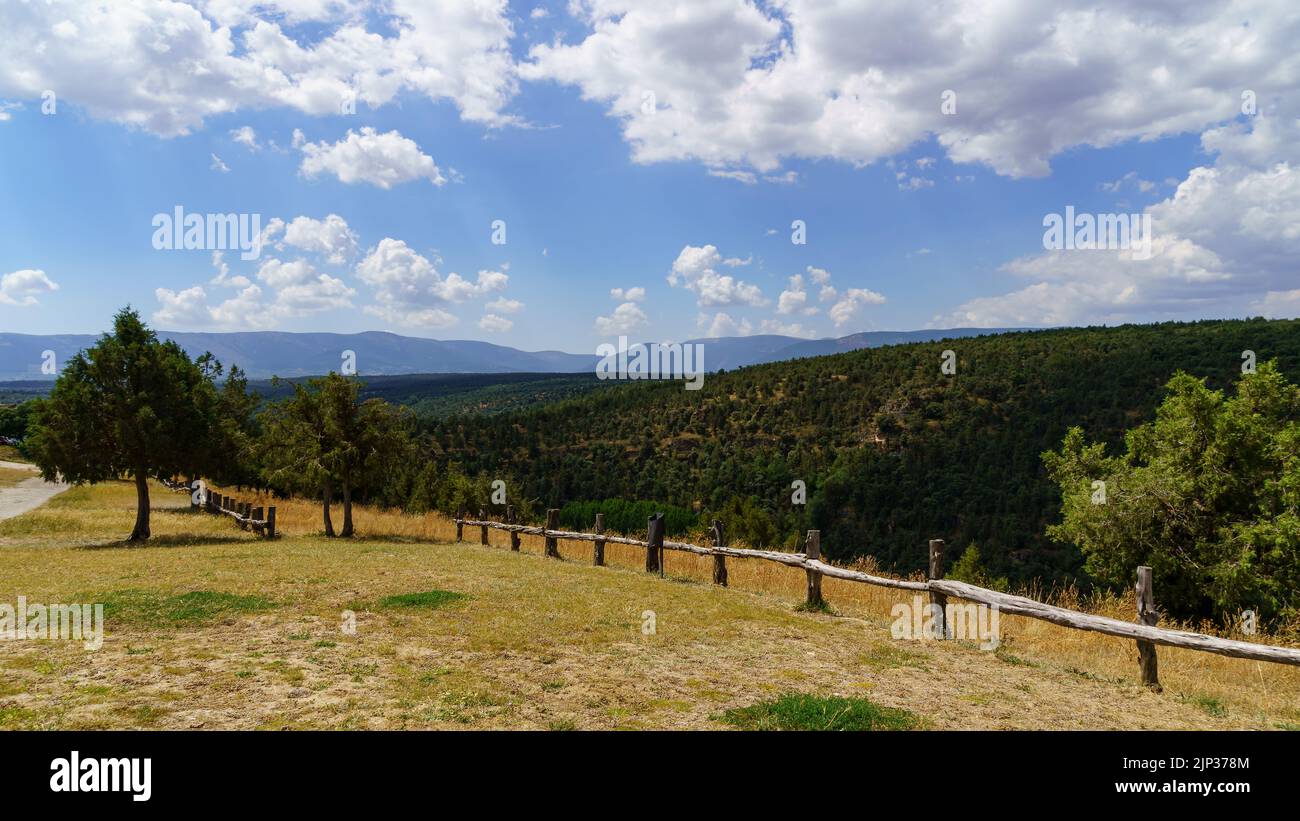 green landscape with wooden fence, grass meadows and tree forests, blue ...