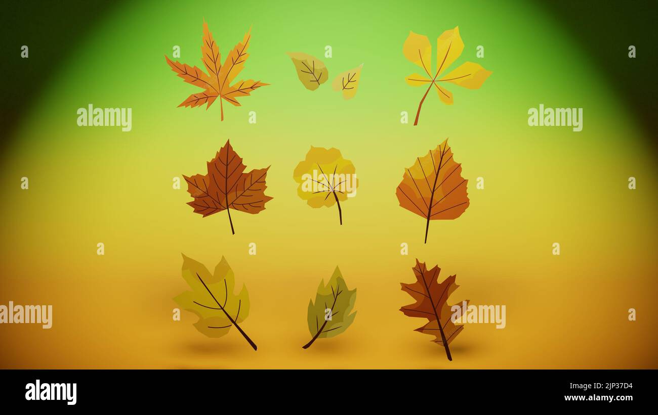 3D rendering.9 autumn leaves on a green background with a front light ...