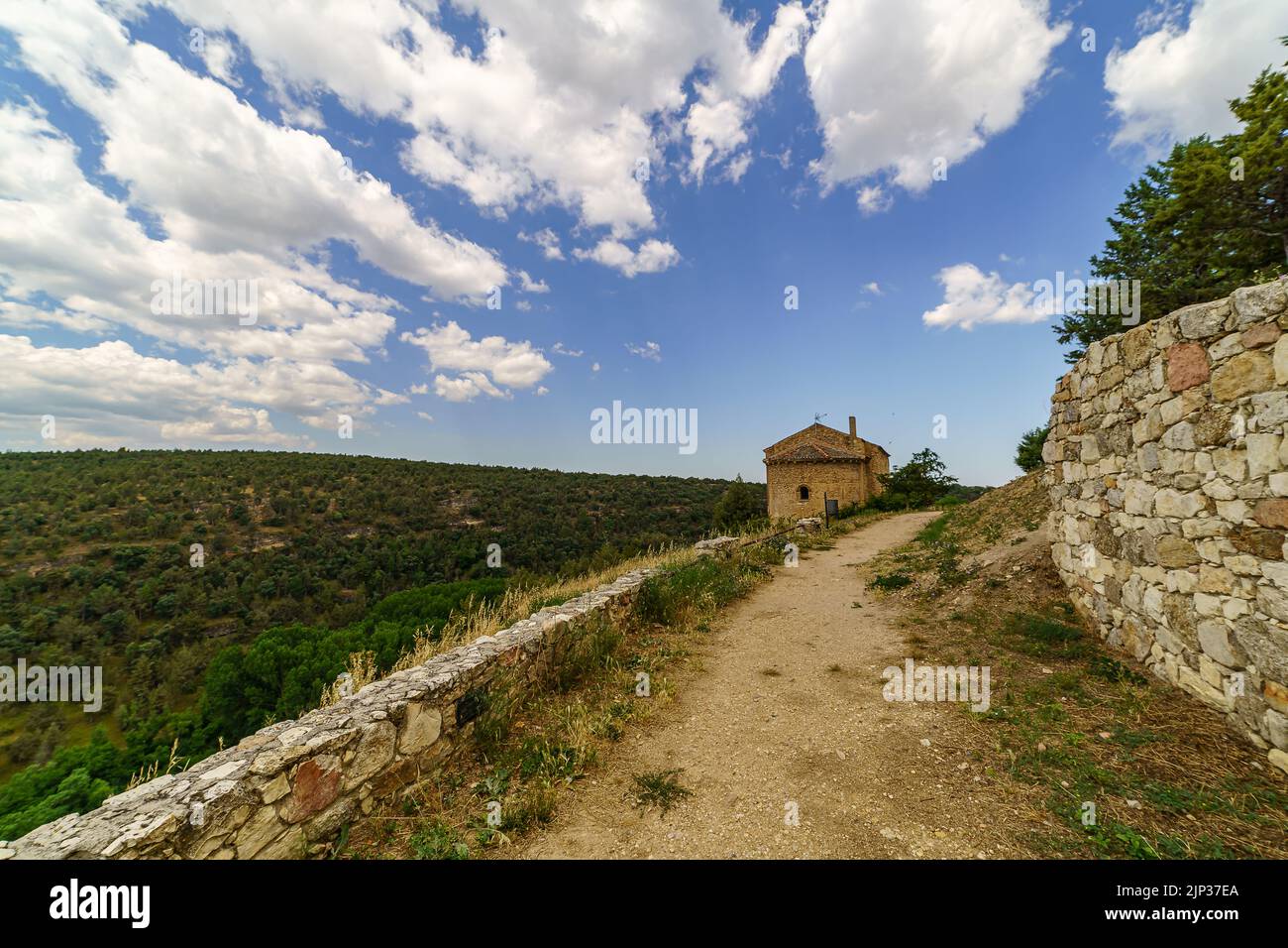 green landscape with wooden fence, grass meadows and tree forests, blue ...