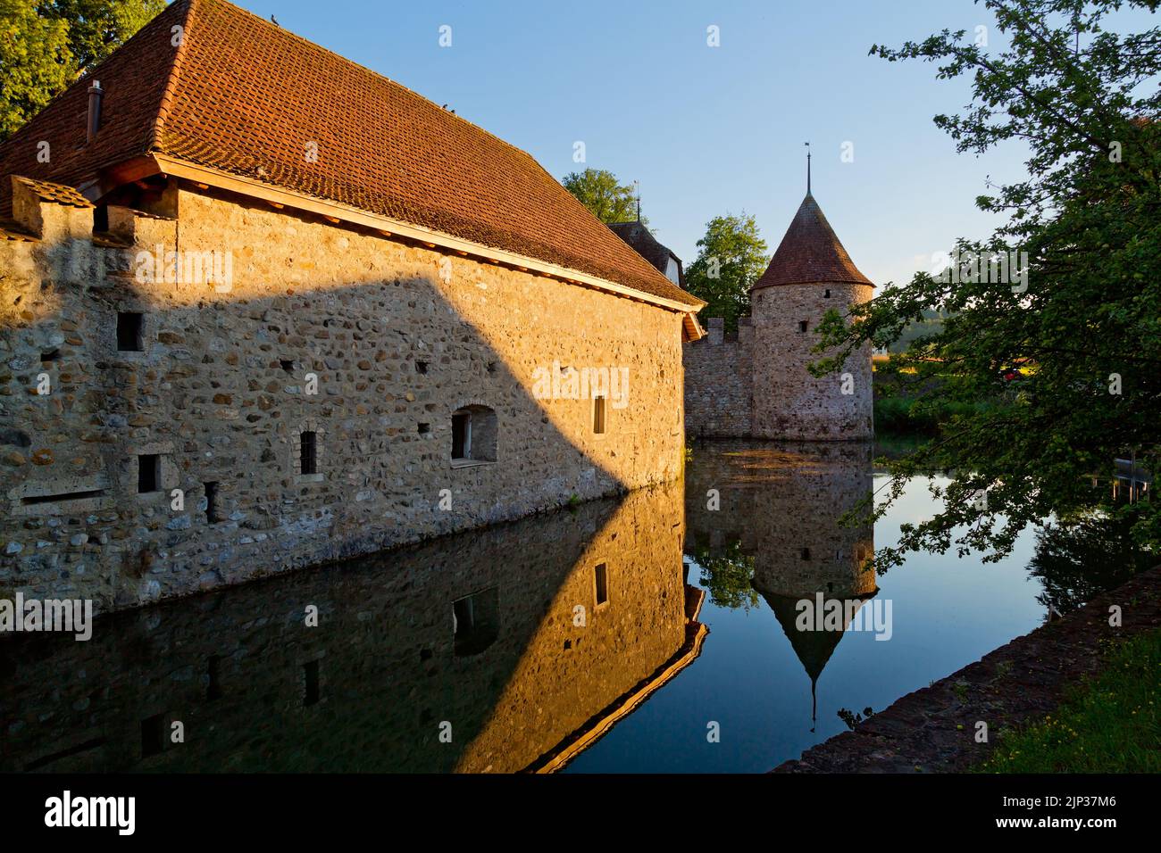 Castle Hallwyl at Lake Hallwil, Switzerland Stock Photo - Alamy