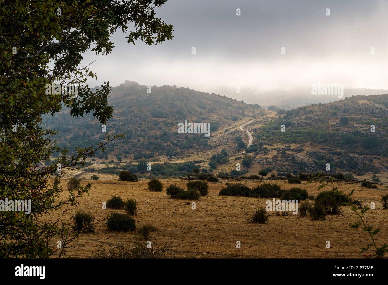 Winter landscape, fog and dark clouds, road to the top of the mountain ...