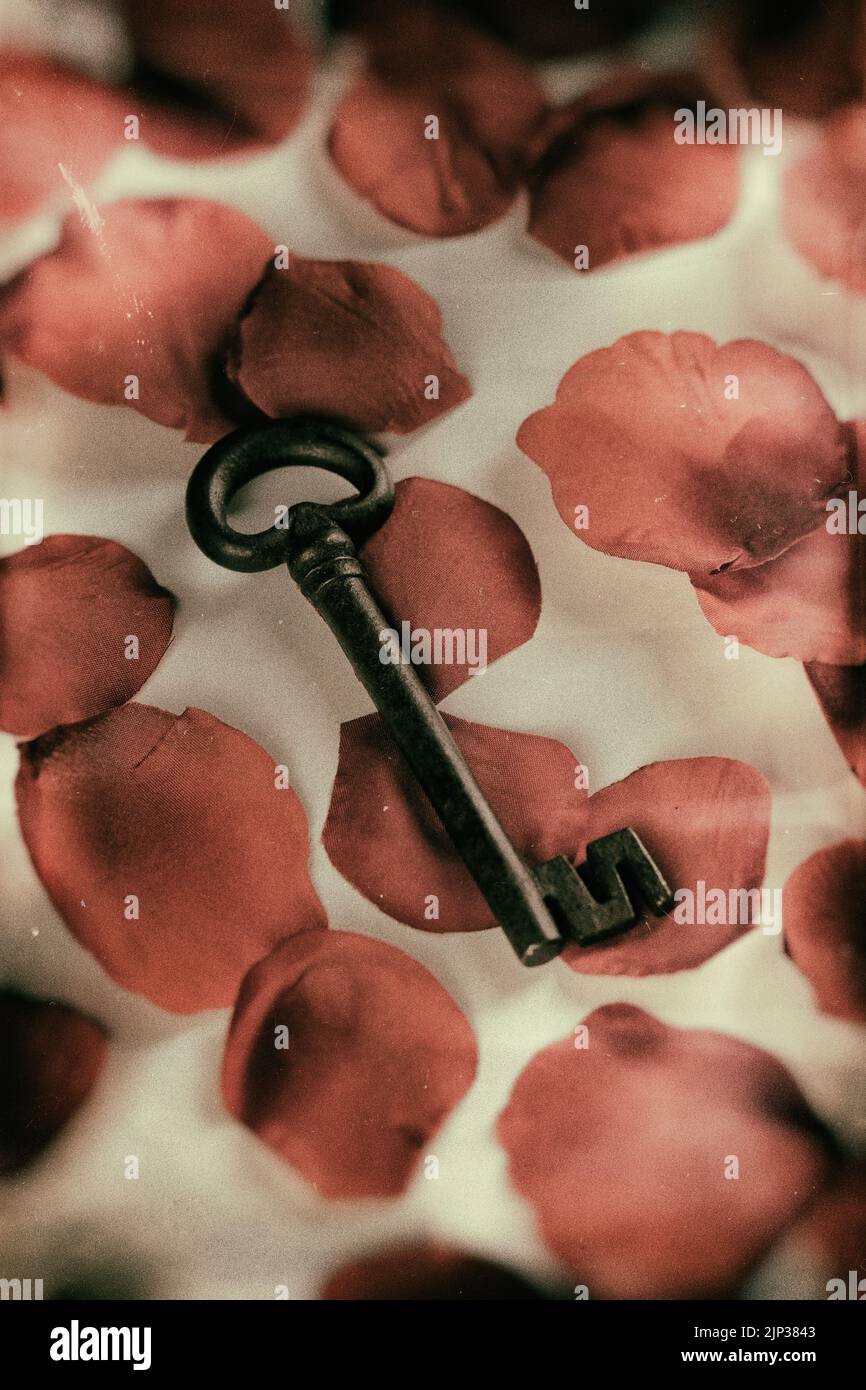 rose leaves, romantic, secret, key, romantics, feedback, secrets, keys ...